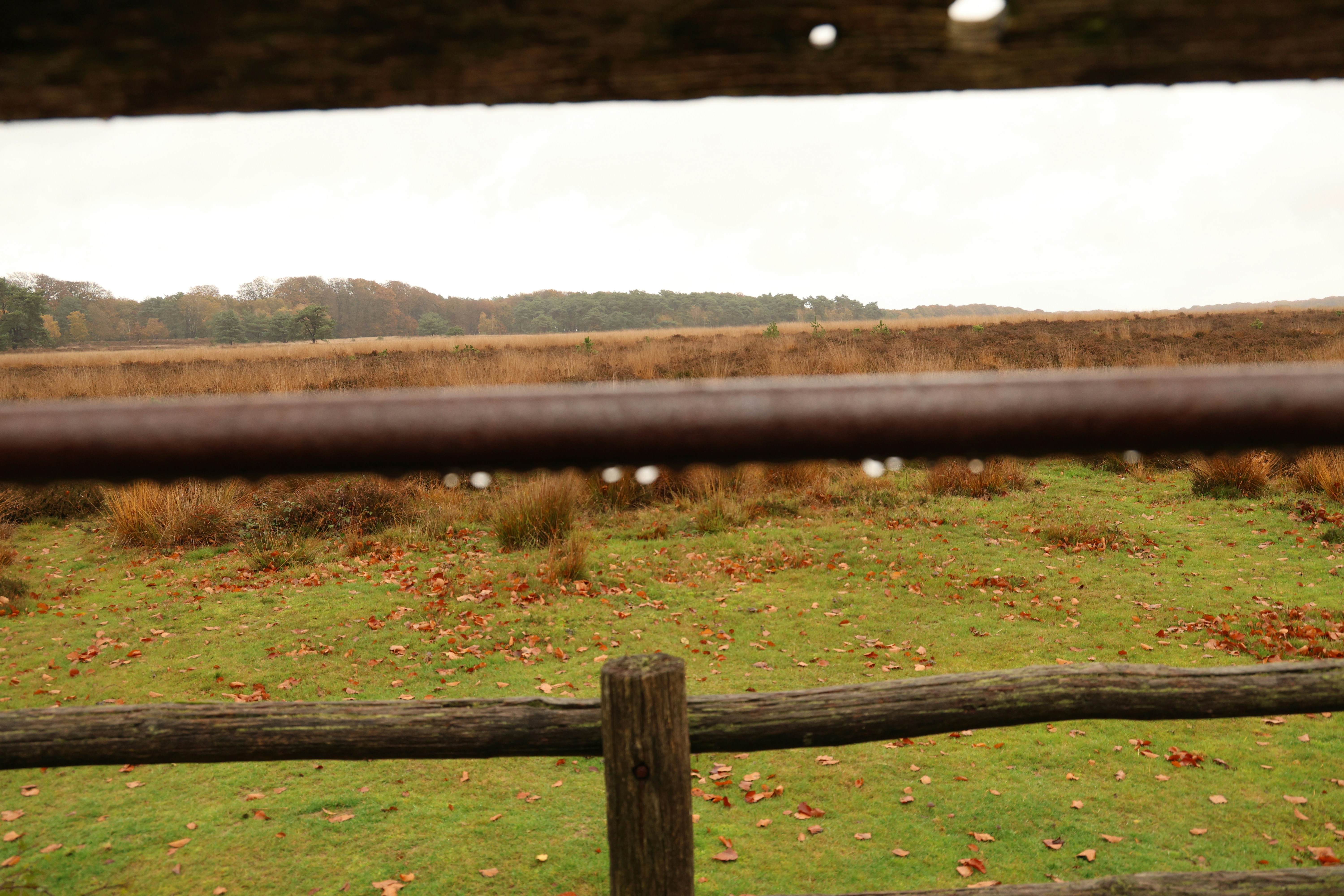 Fence Lines and Quiet Autumn: A Horizon Framed by Weathered Rails