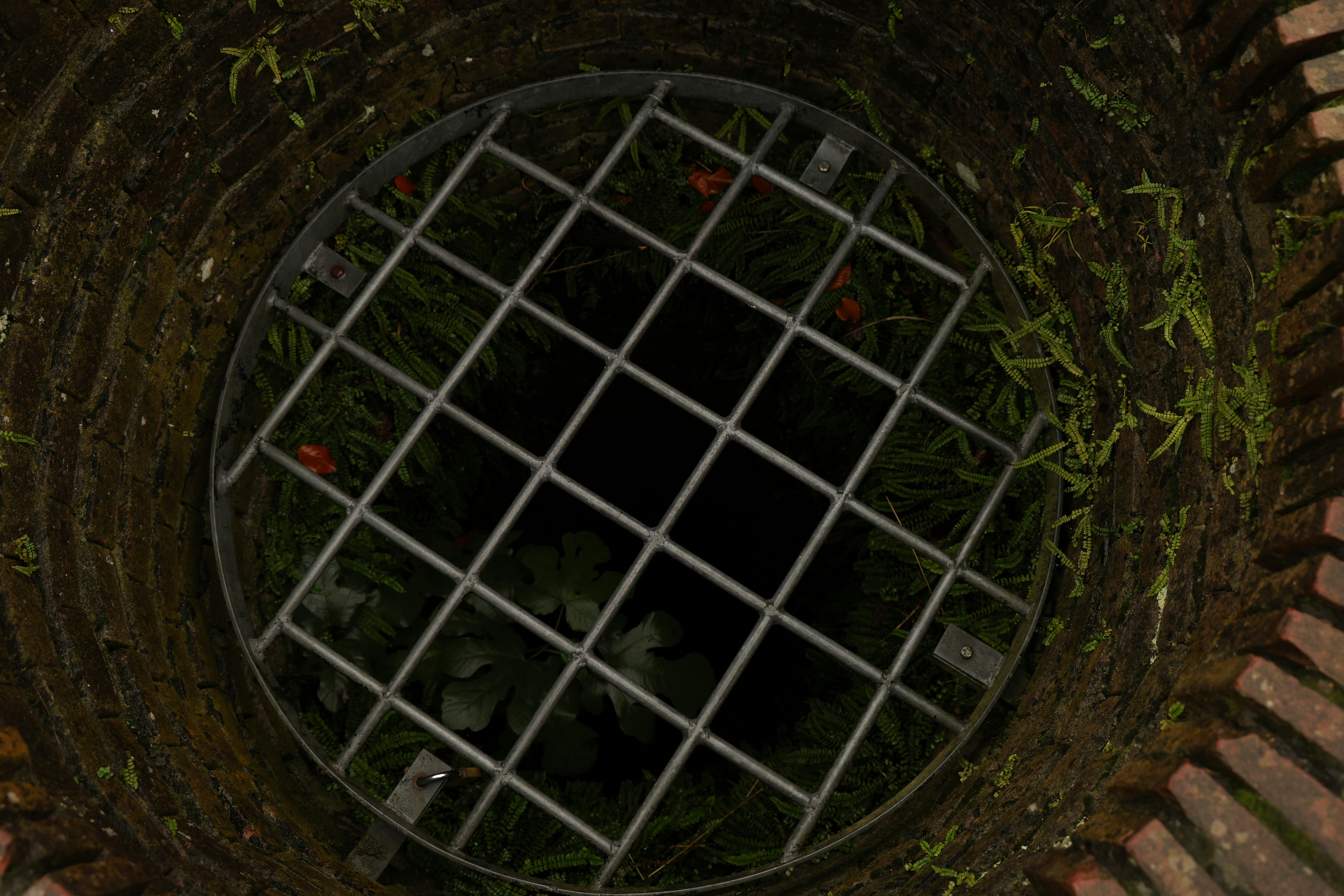 Nature's Hidden Depths: A Grate's Perspective