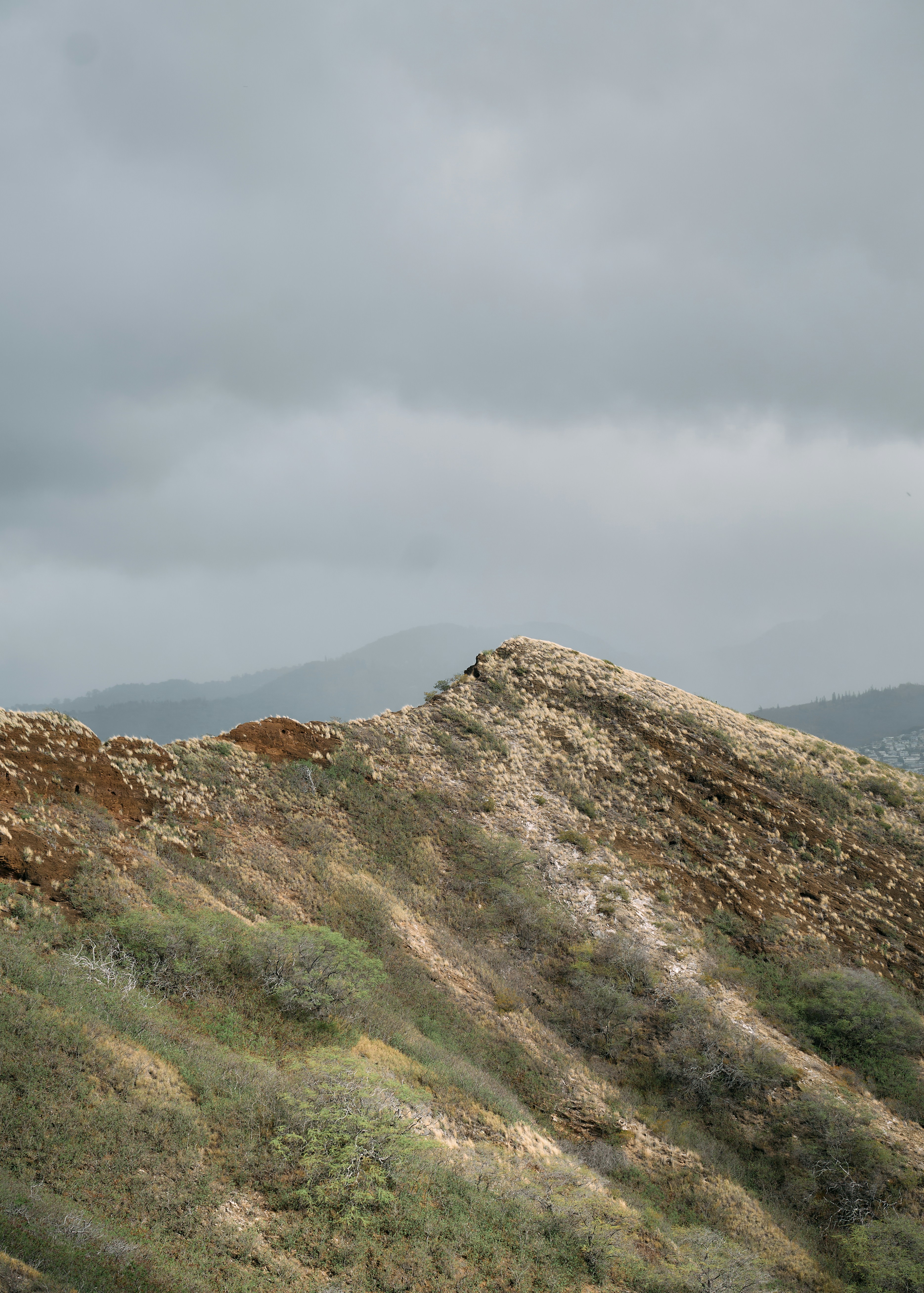 Rolling hills adorned with patches of green and brown under an overcast sky, hinting at the beauty of the landscape's textures.