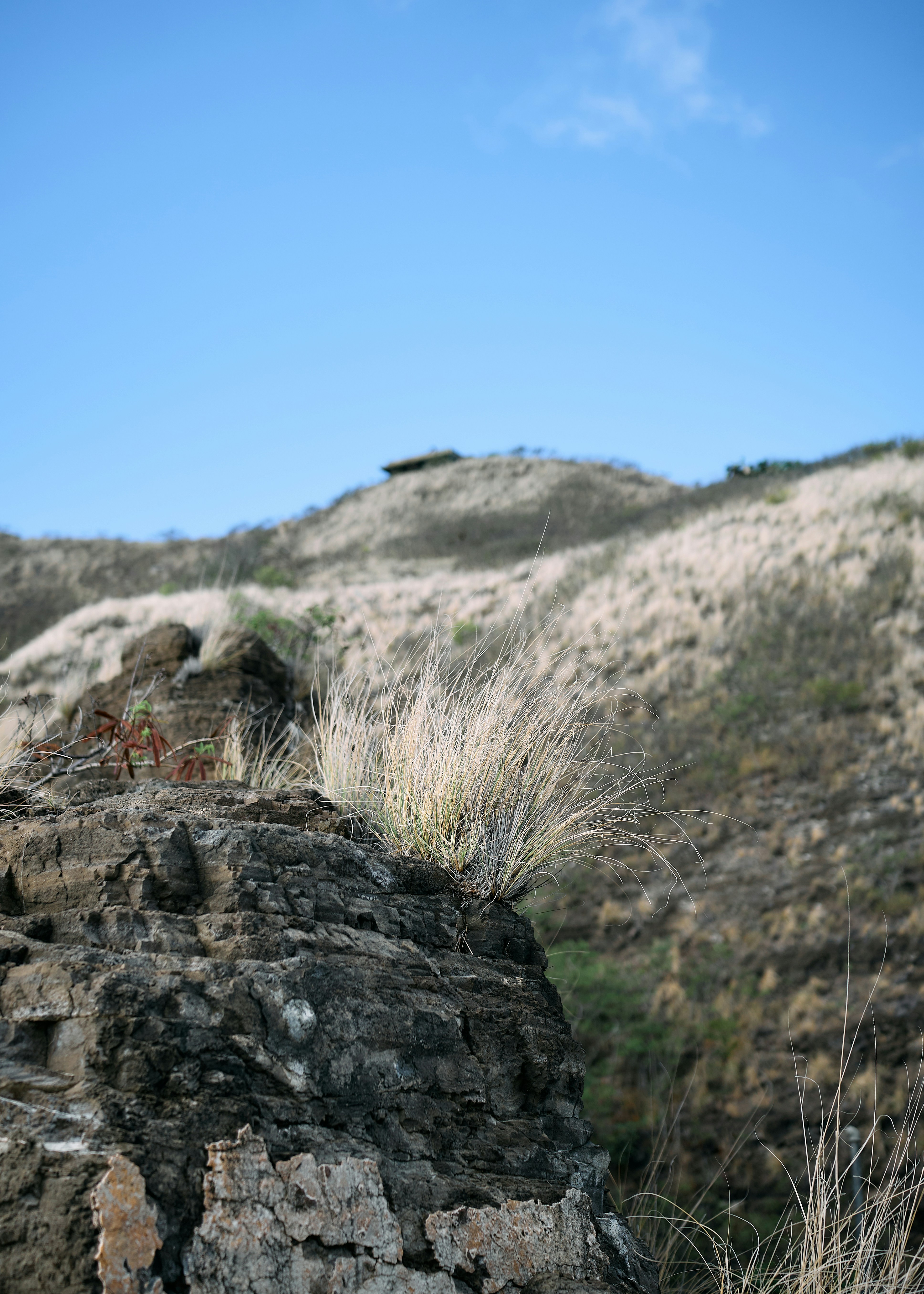 Grassy hill and rocky outcrop under blue sky