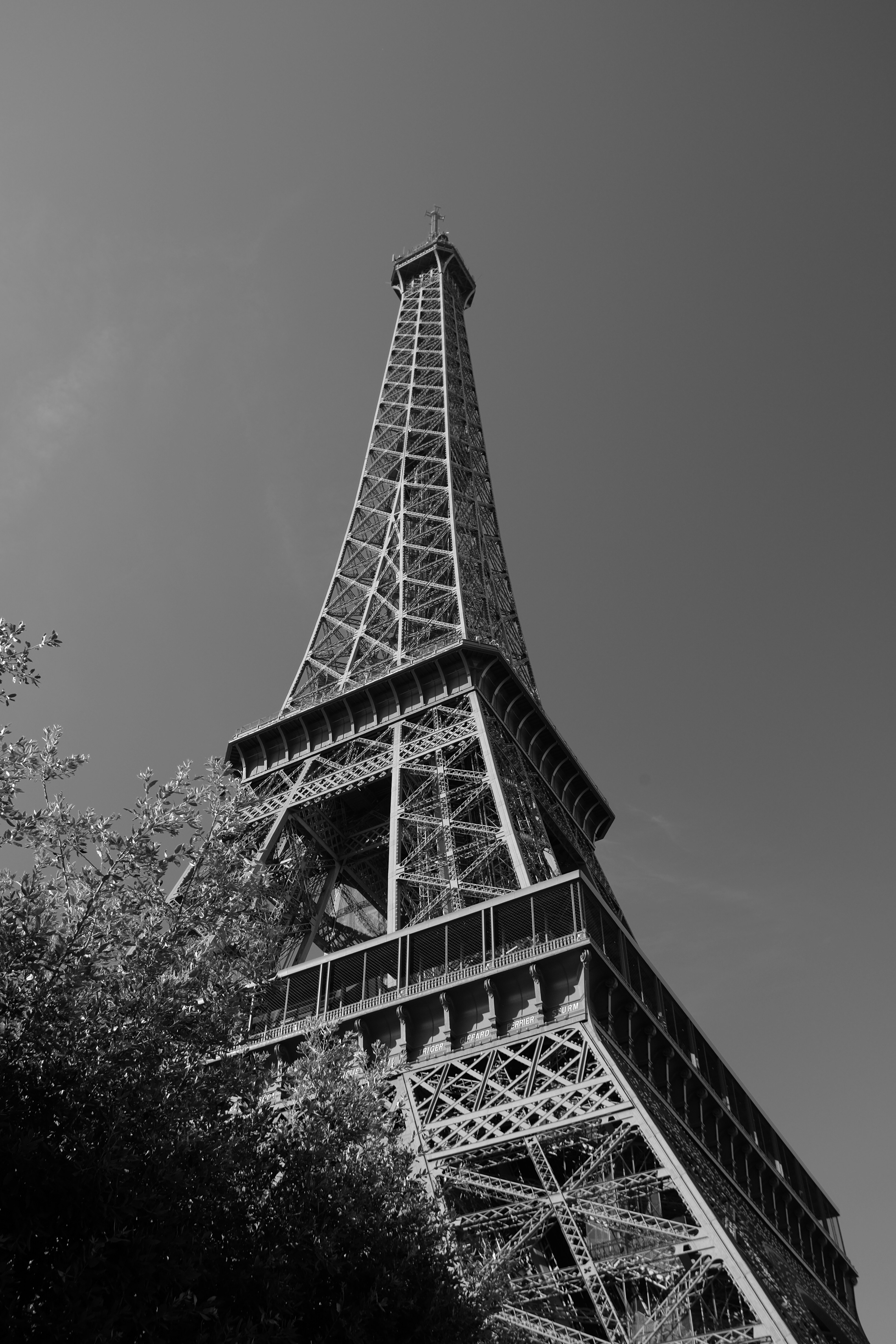 Eiffel Tower rising majestically above lush greenery, captured in a monochrome palette that emphasizes its intricate iron lattice structure.