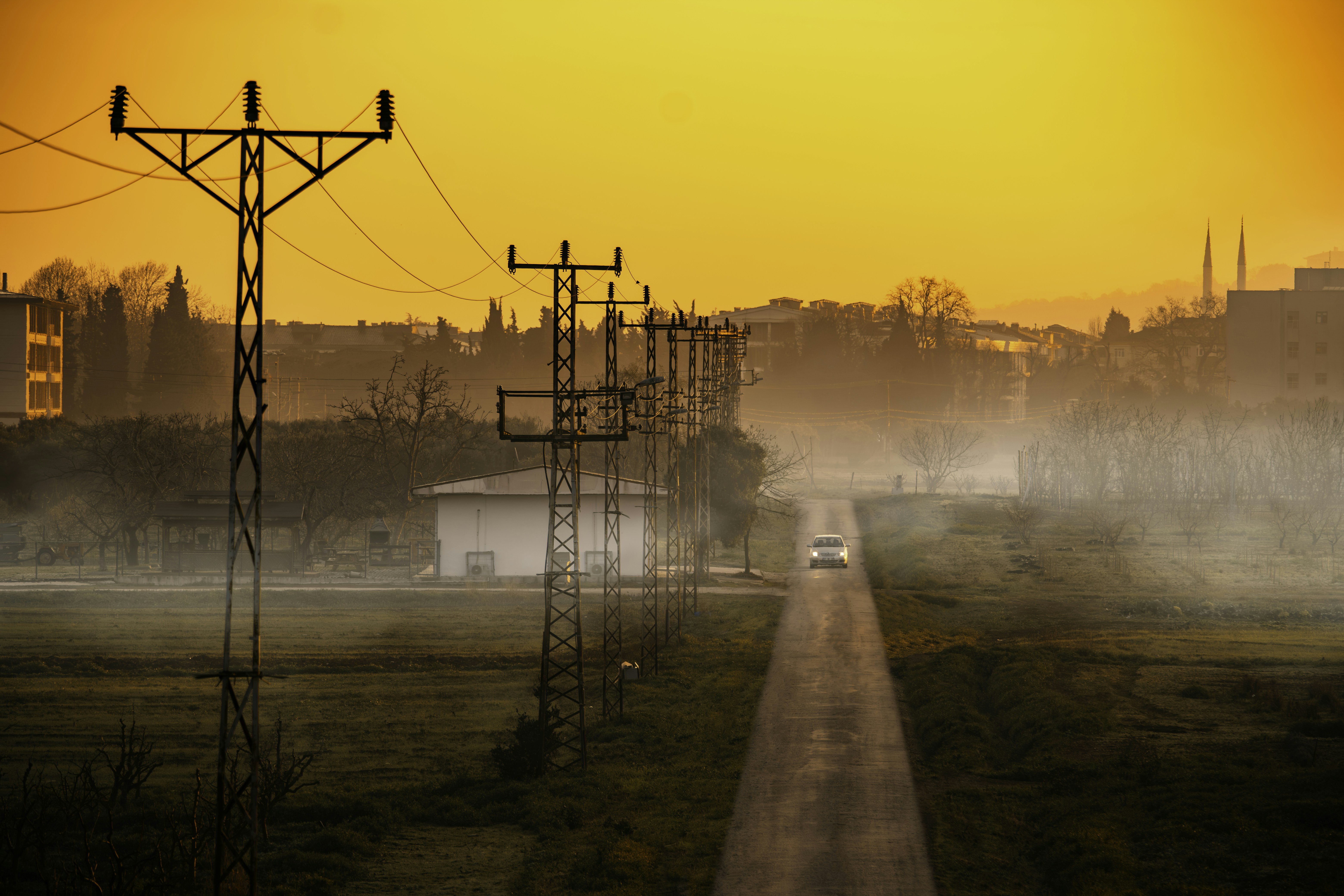 Whispers of Dawn: A Journey Through Mist and Light