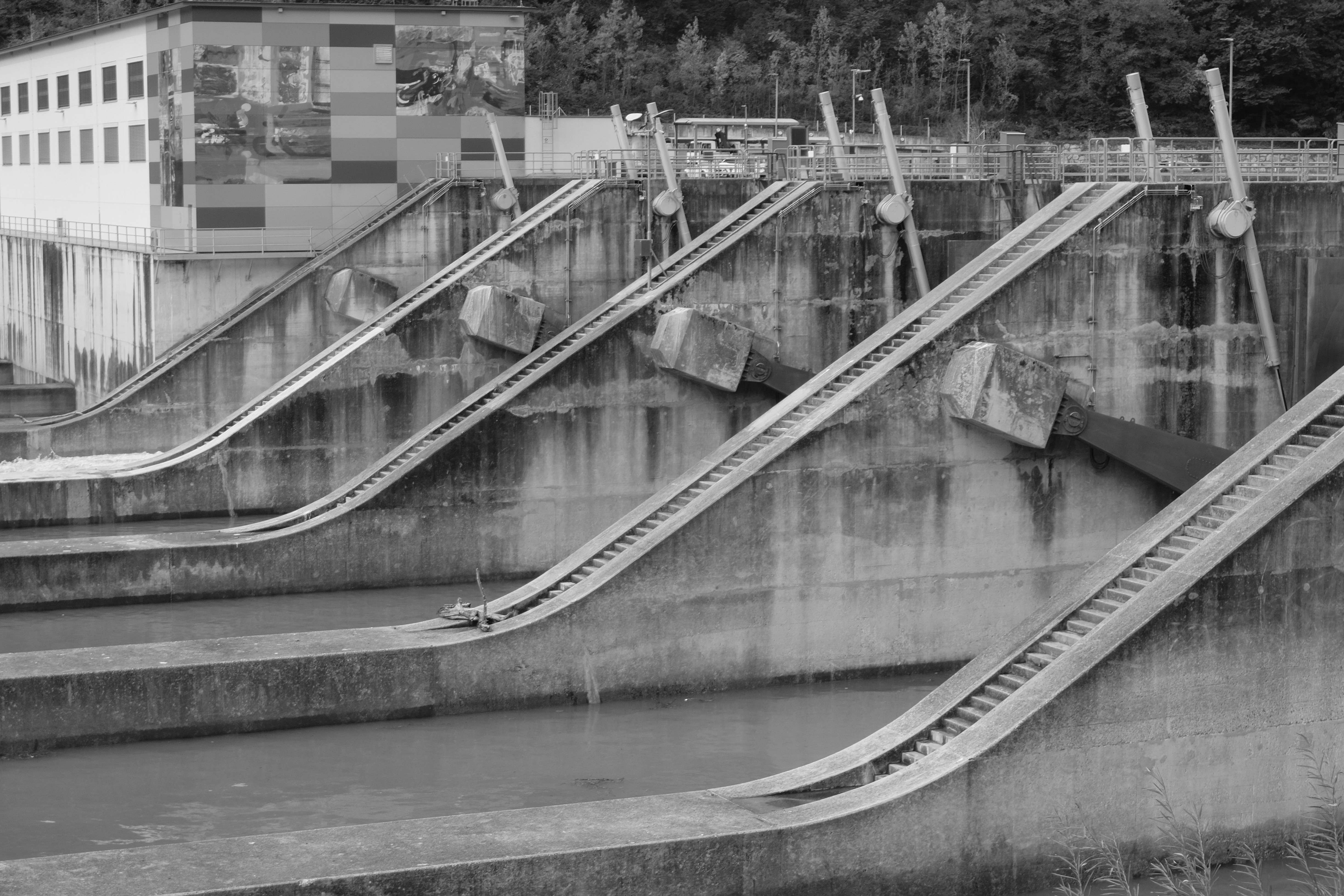 Concrete water channels leading to a reservoir, showcasing structural design and functionality. The image emphasizes the interplay of engineering and nature.