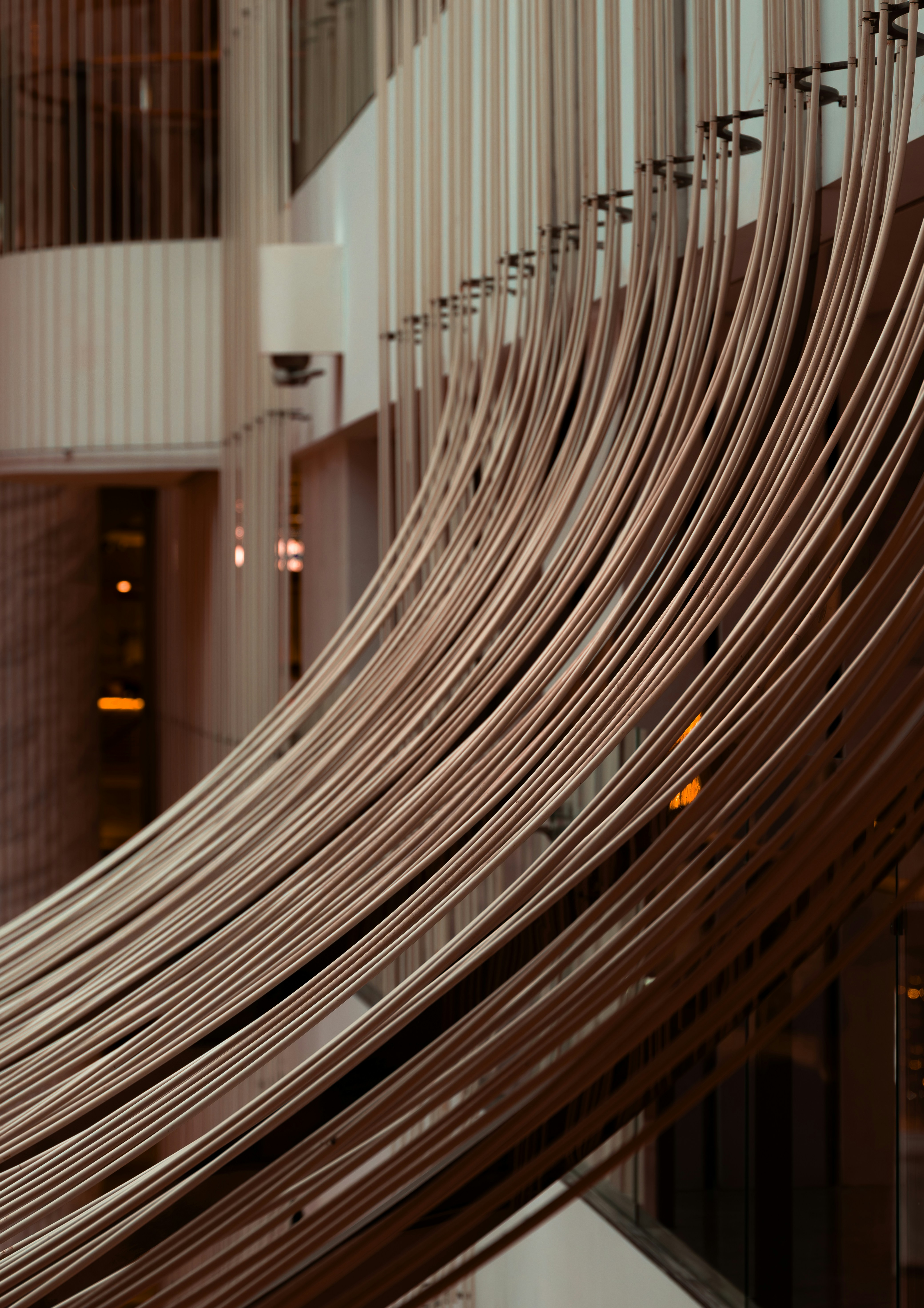 Elegance in Motion: The Dance of Architectural Lines