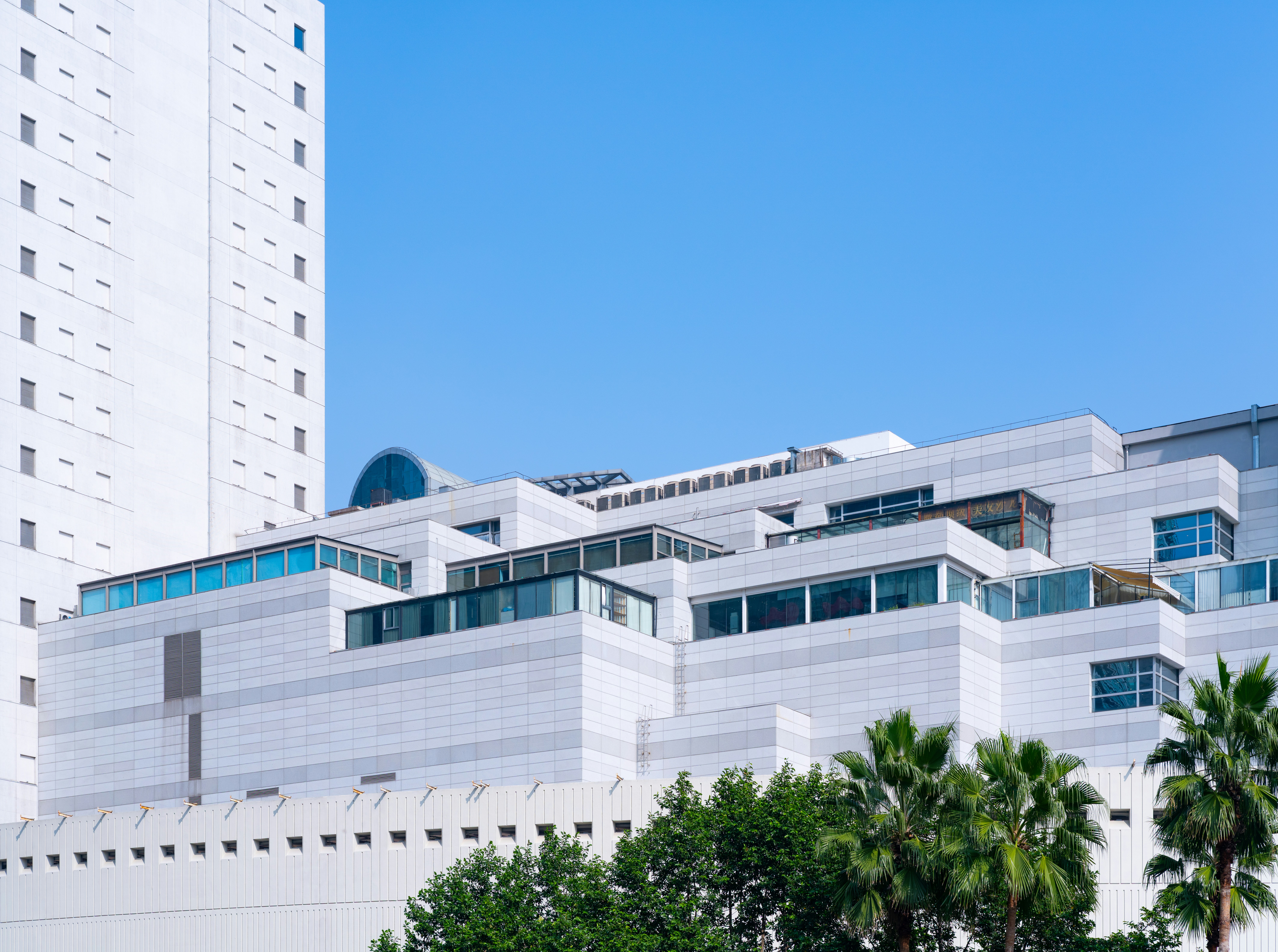Modern white buildings with palm trees and blue sky