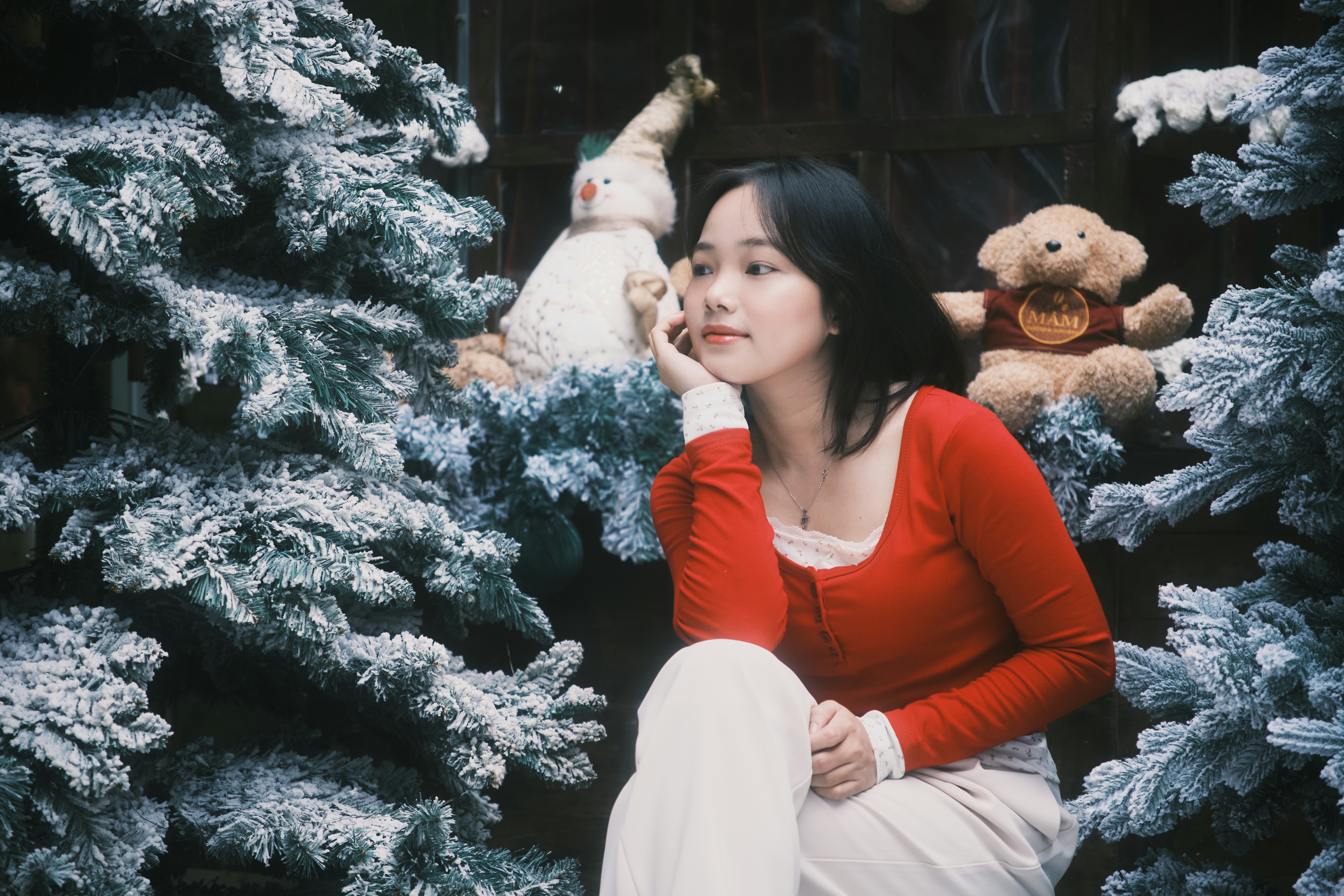 Red Quiet: A Portrait Among Frosted Pines and Plush Companions