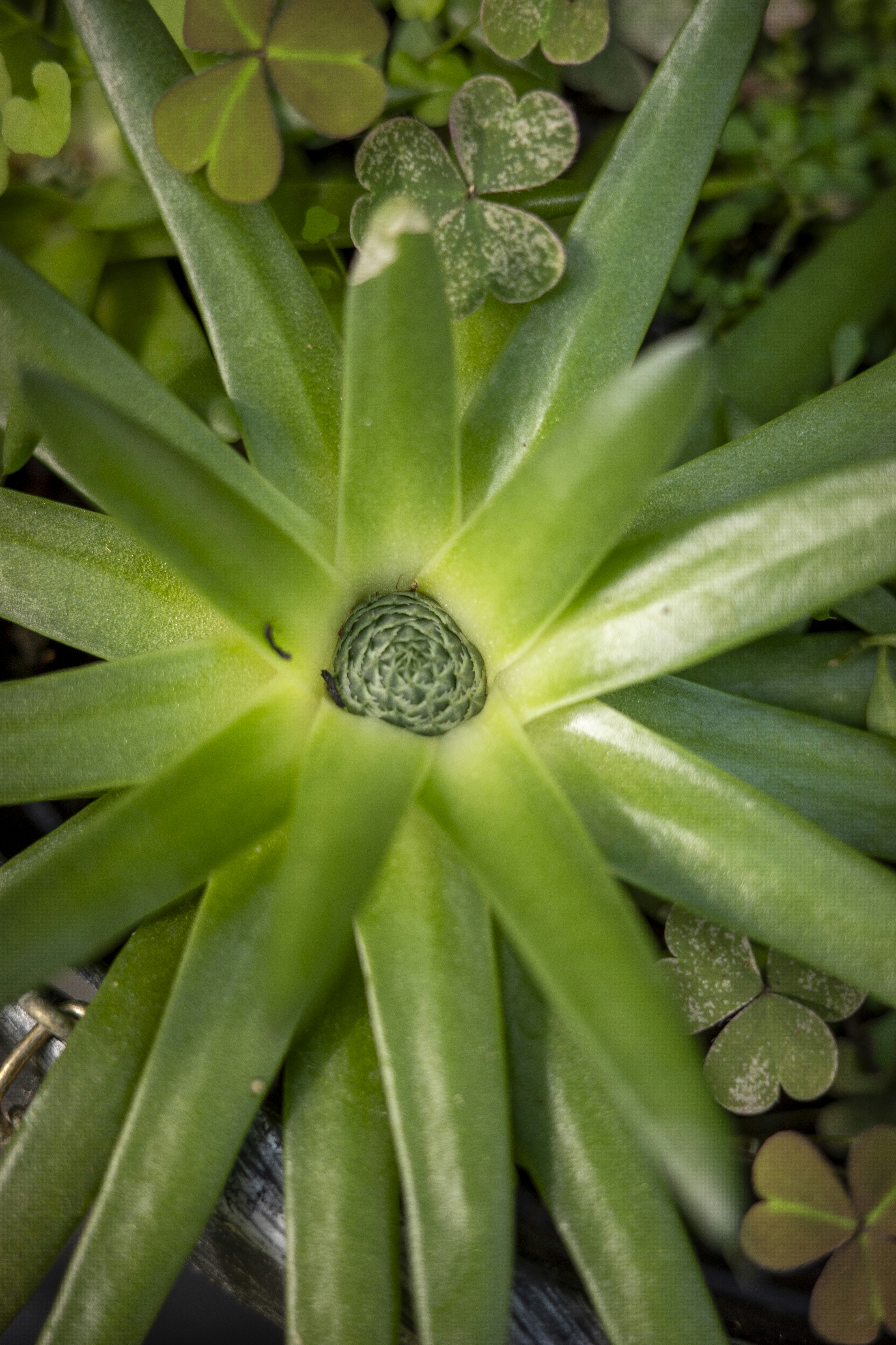 Photo by Seungho Park-Lee with Ricoh GR IIIx