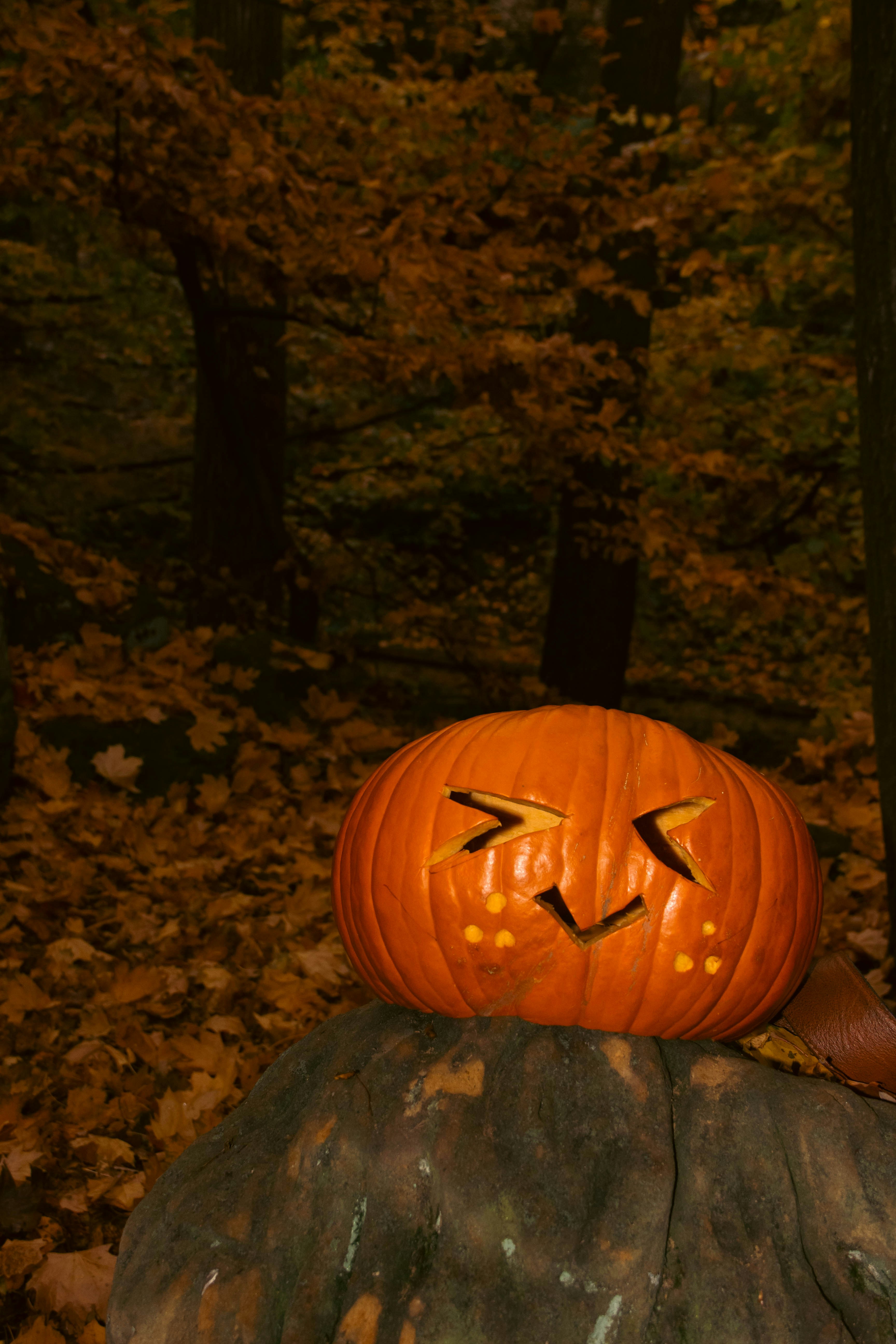 Ember-Smile on a Mossy Rock: a Jack-o'-Lantern in a Quiet Autumn Forest