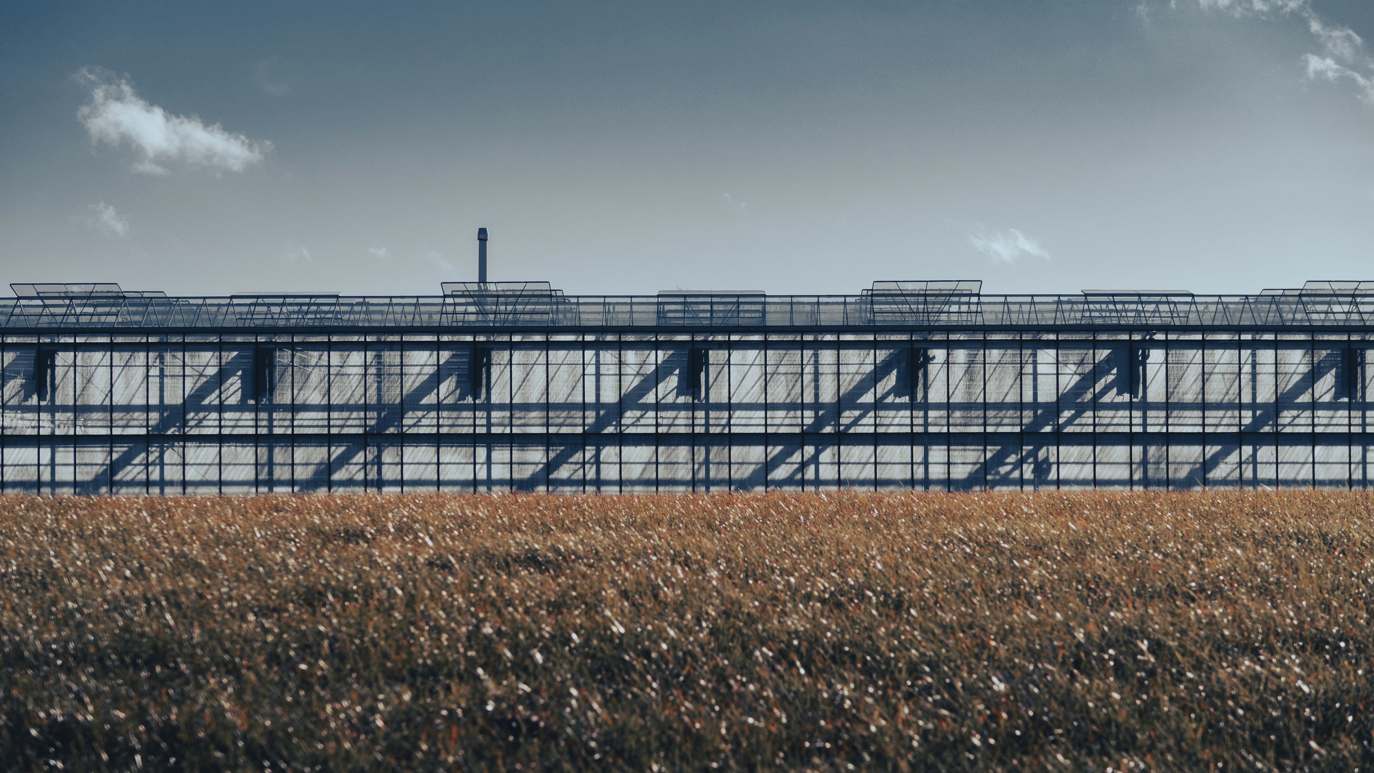 A modern greenhouse structure juxtaposed against a golden field under a clear sky. The geometric lines of the building create a striking contrast with the organic landscape.