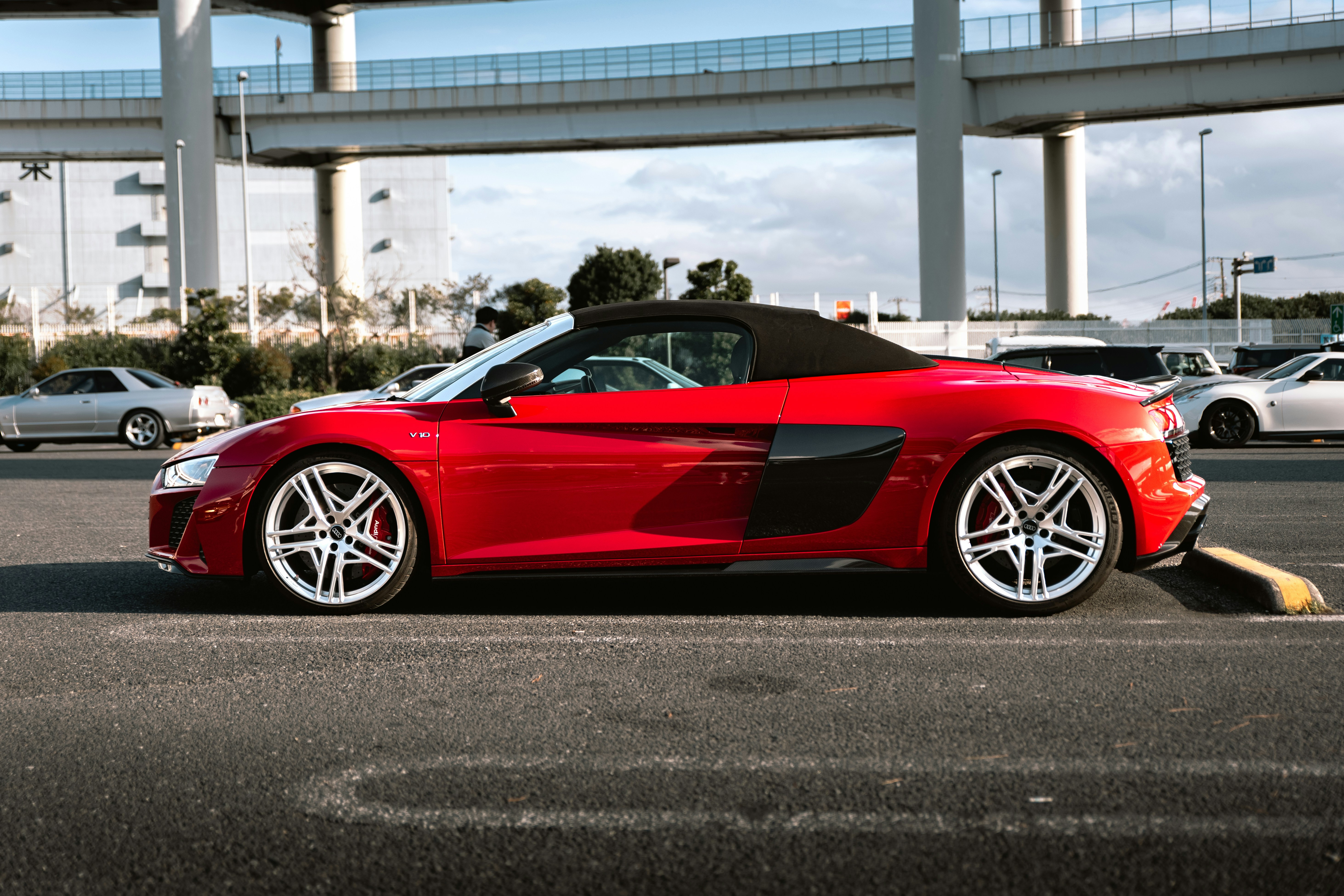 Photo by Shoham Avisrur with Canon EOS R6 Mark II