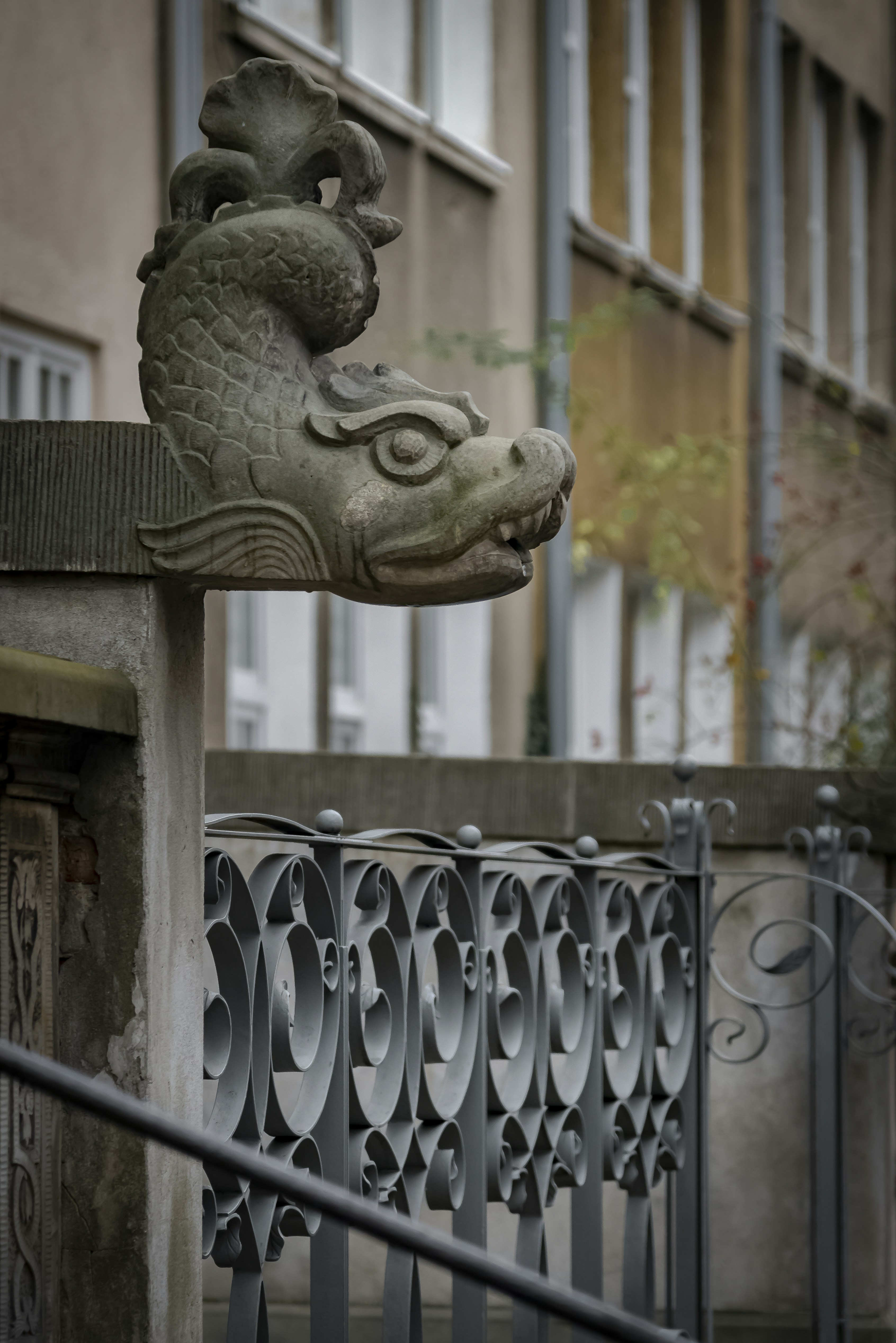 Courtyard Dragon: Weathered Guardian Over Wrought-Iron Lace
