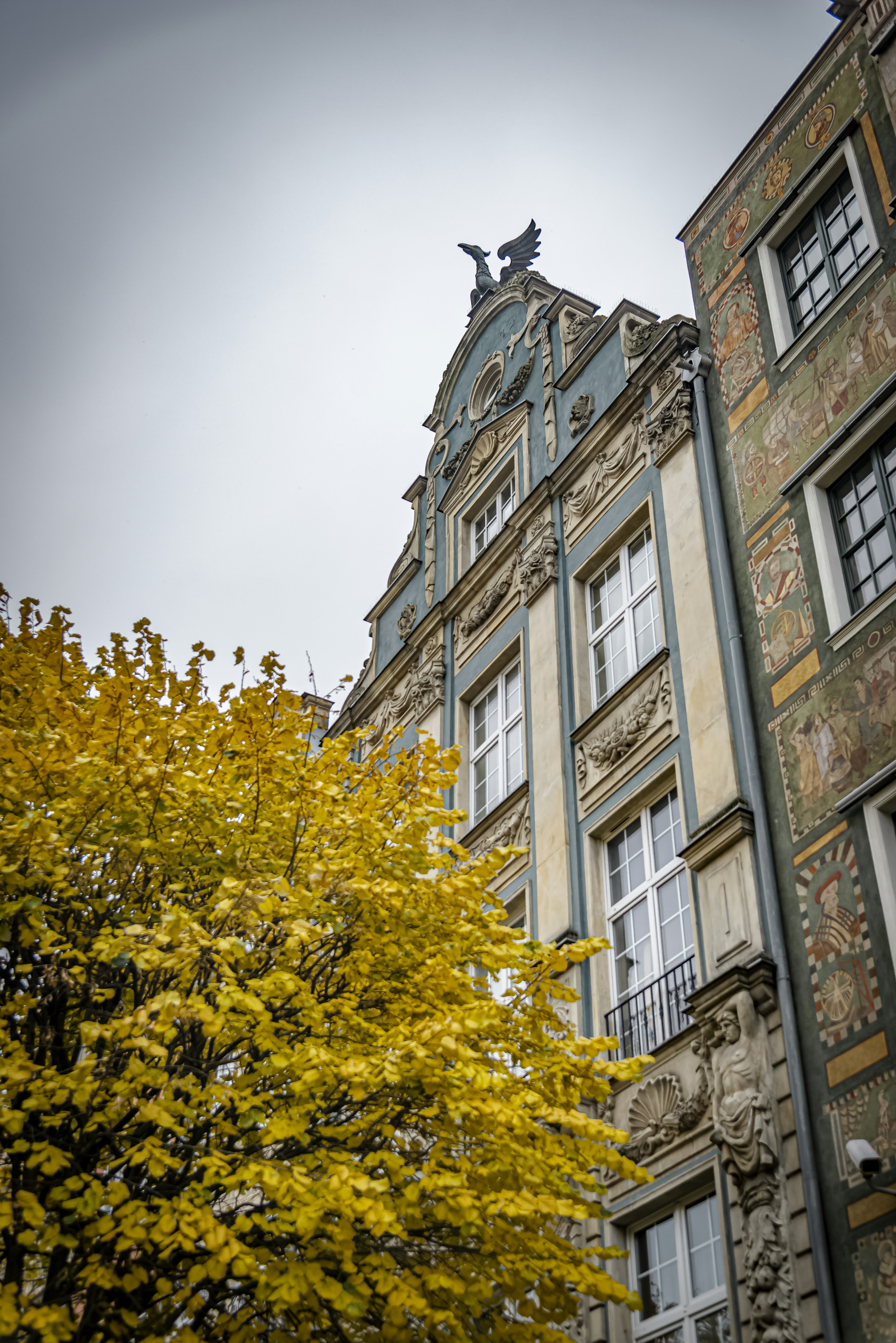 Ornate Façade and Autumn Crown