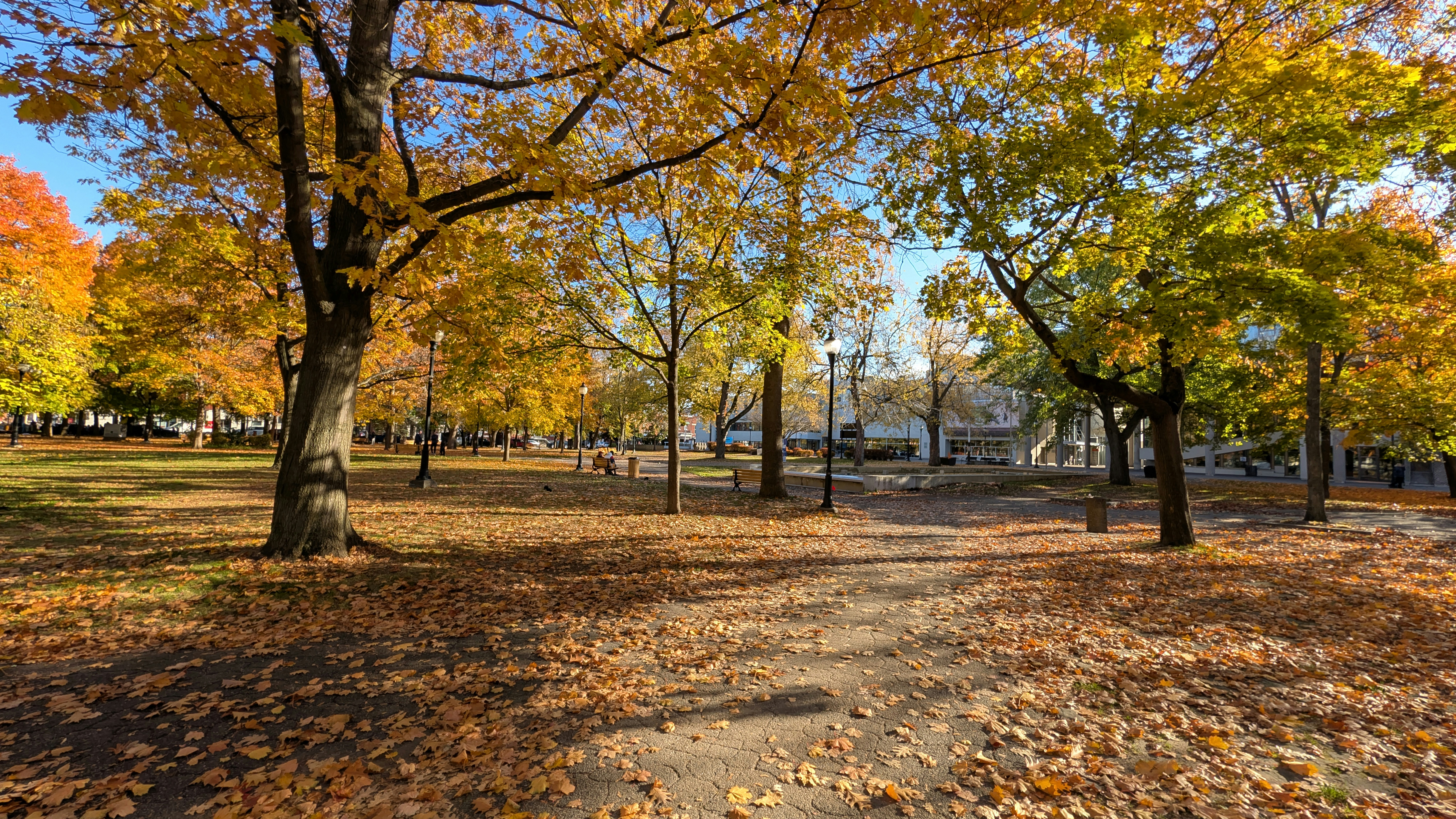 Sample photo from Google Pixel 10 Pro