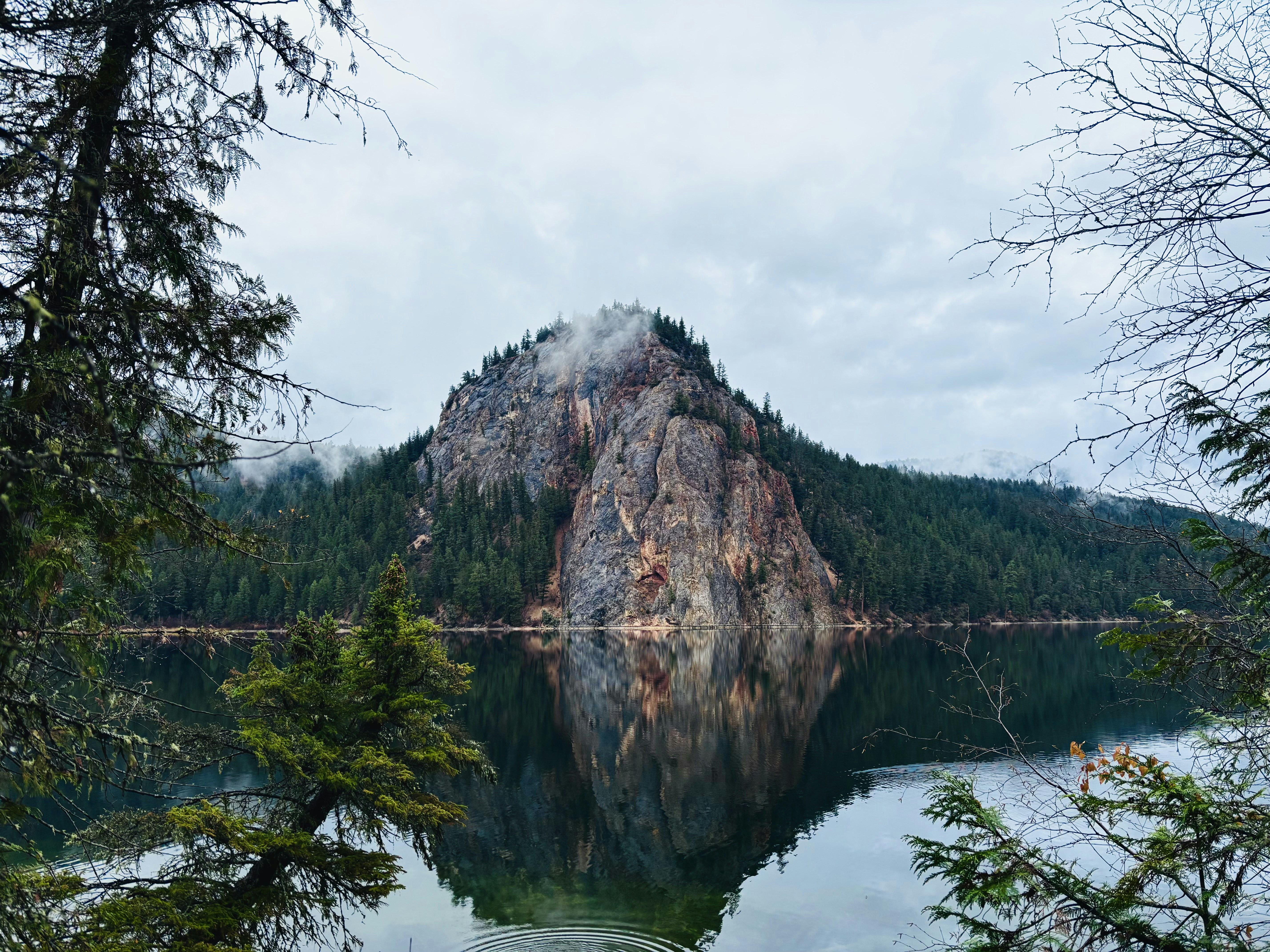 Photo by Donna McL with Apple iPhone 15