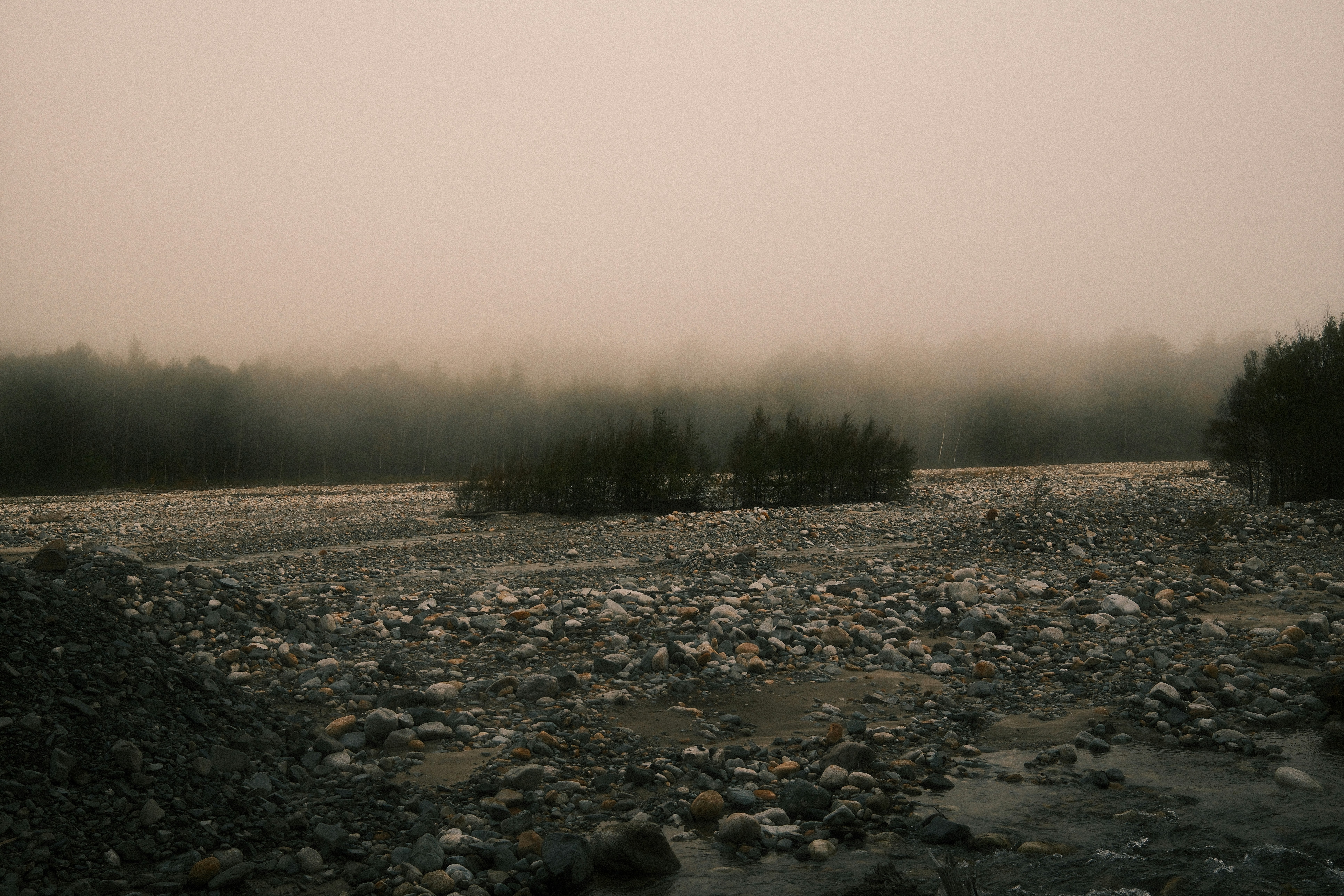 Whispers of the Foggy Riverbank