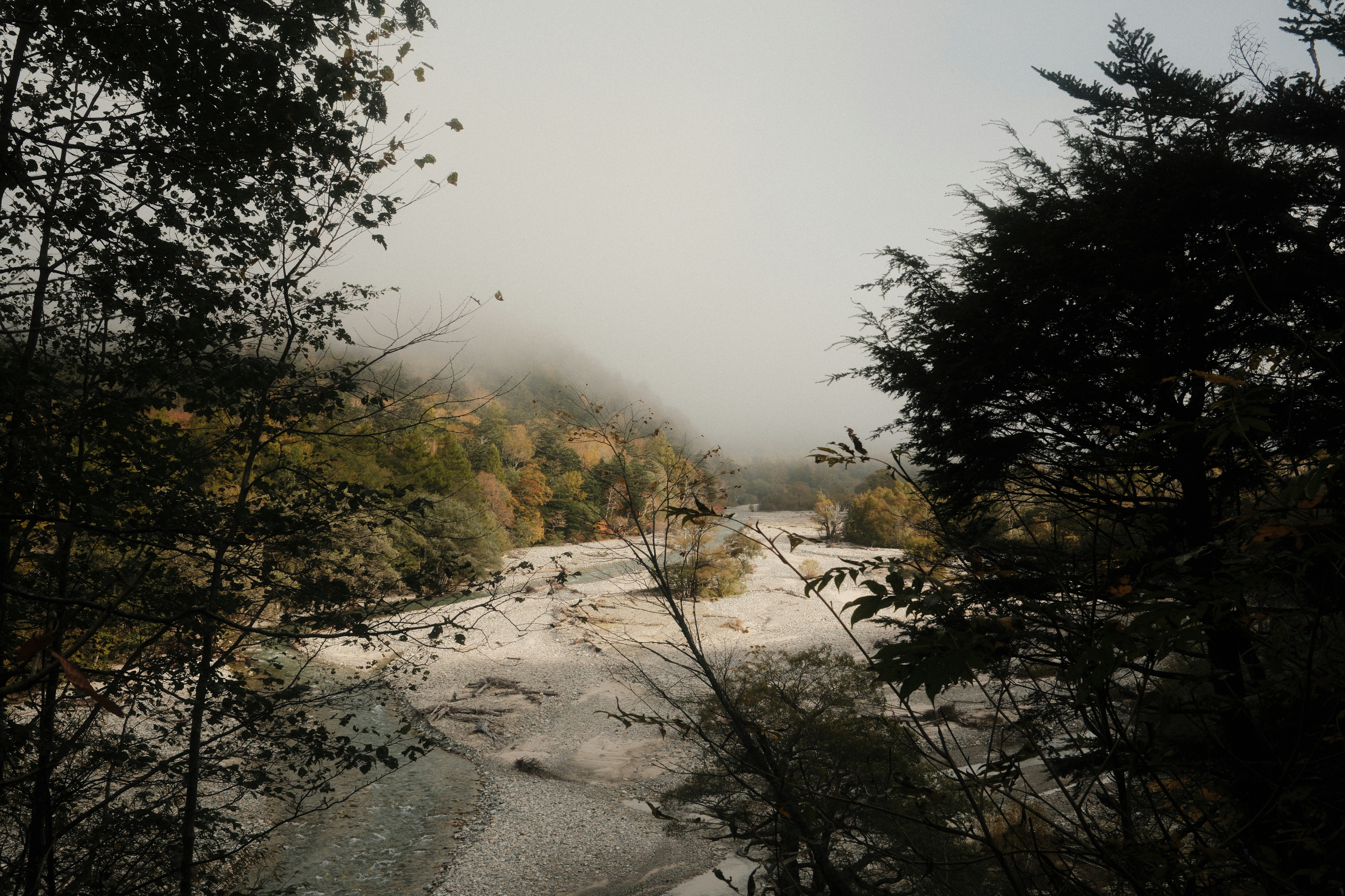 Mist-Wrapped Autumn Bend: Dawn of a Quiet River