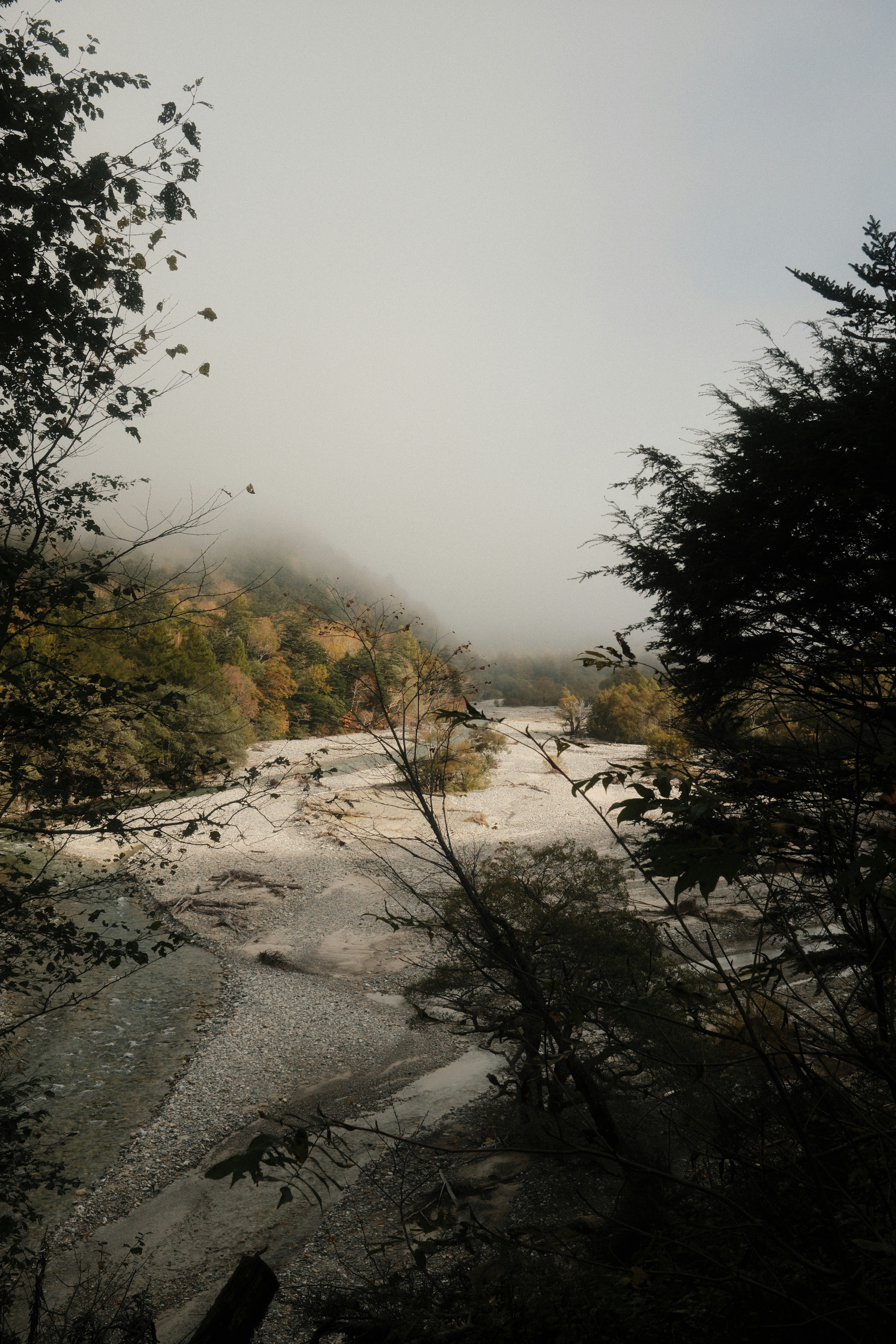 Autumn Mist Drapes a Quiet River Gorge