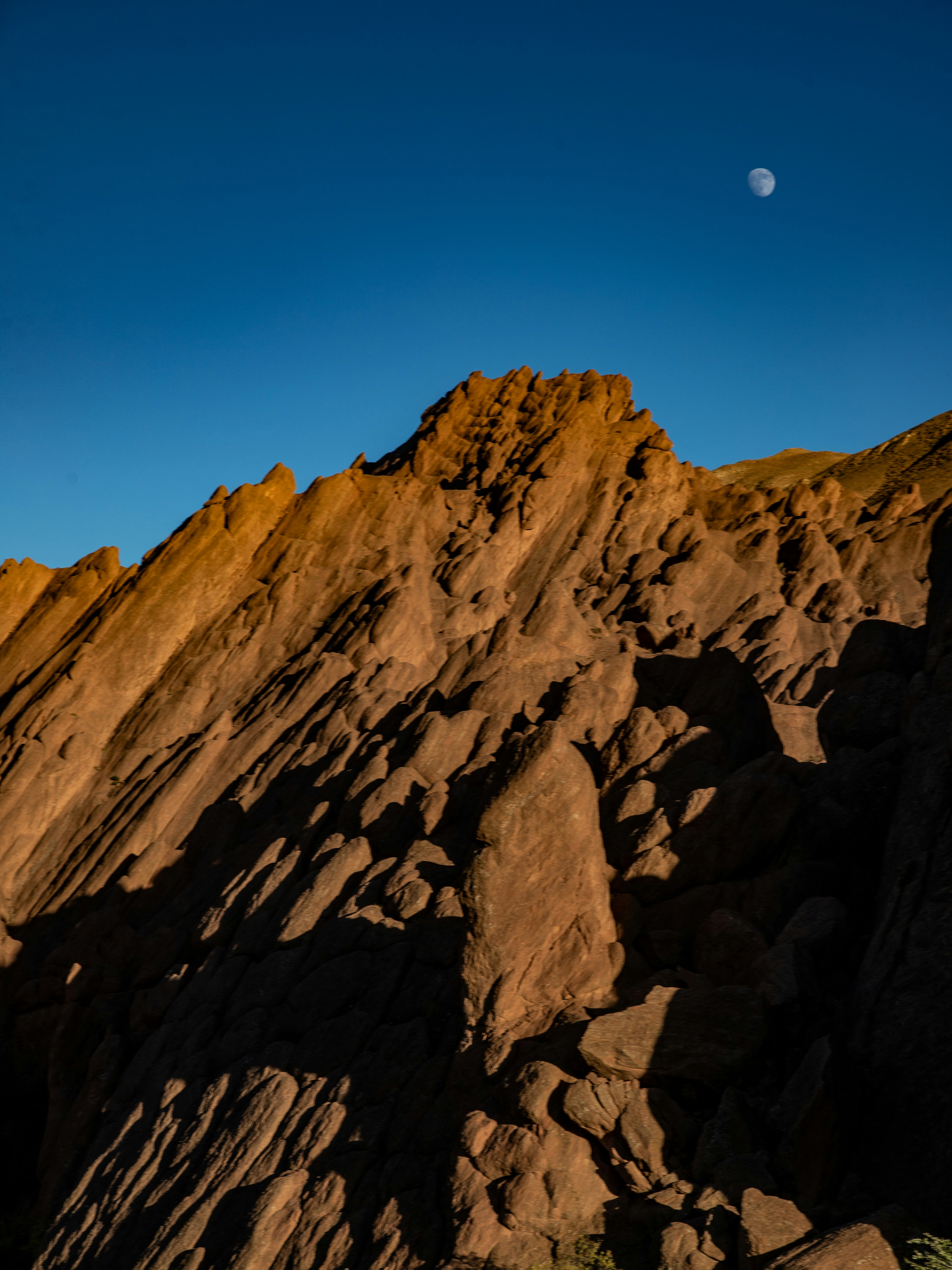 Whispers of the Moonlit Ridge