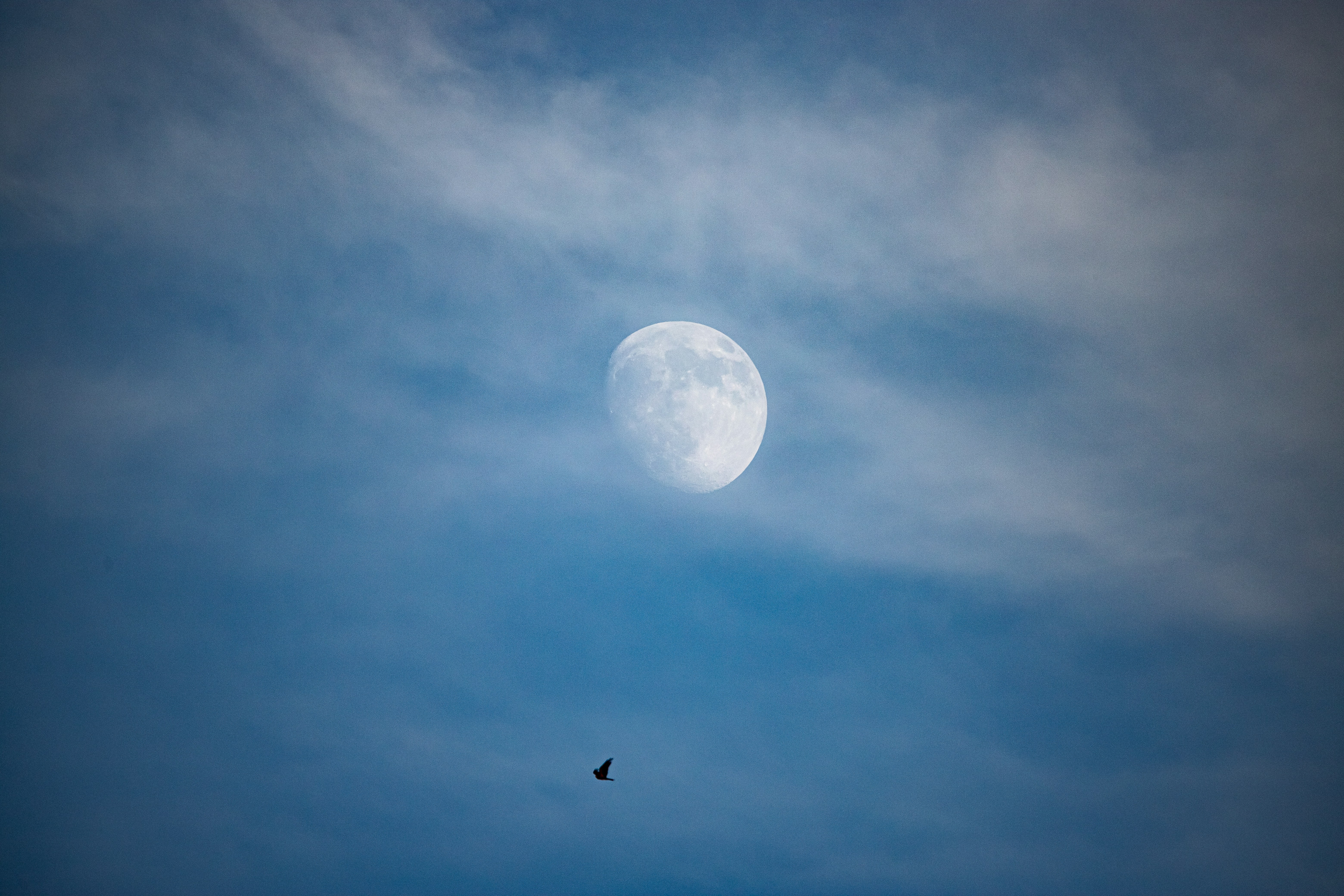 Celestial Harmony: A Dance of Moon and Sky