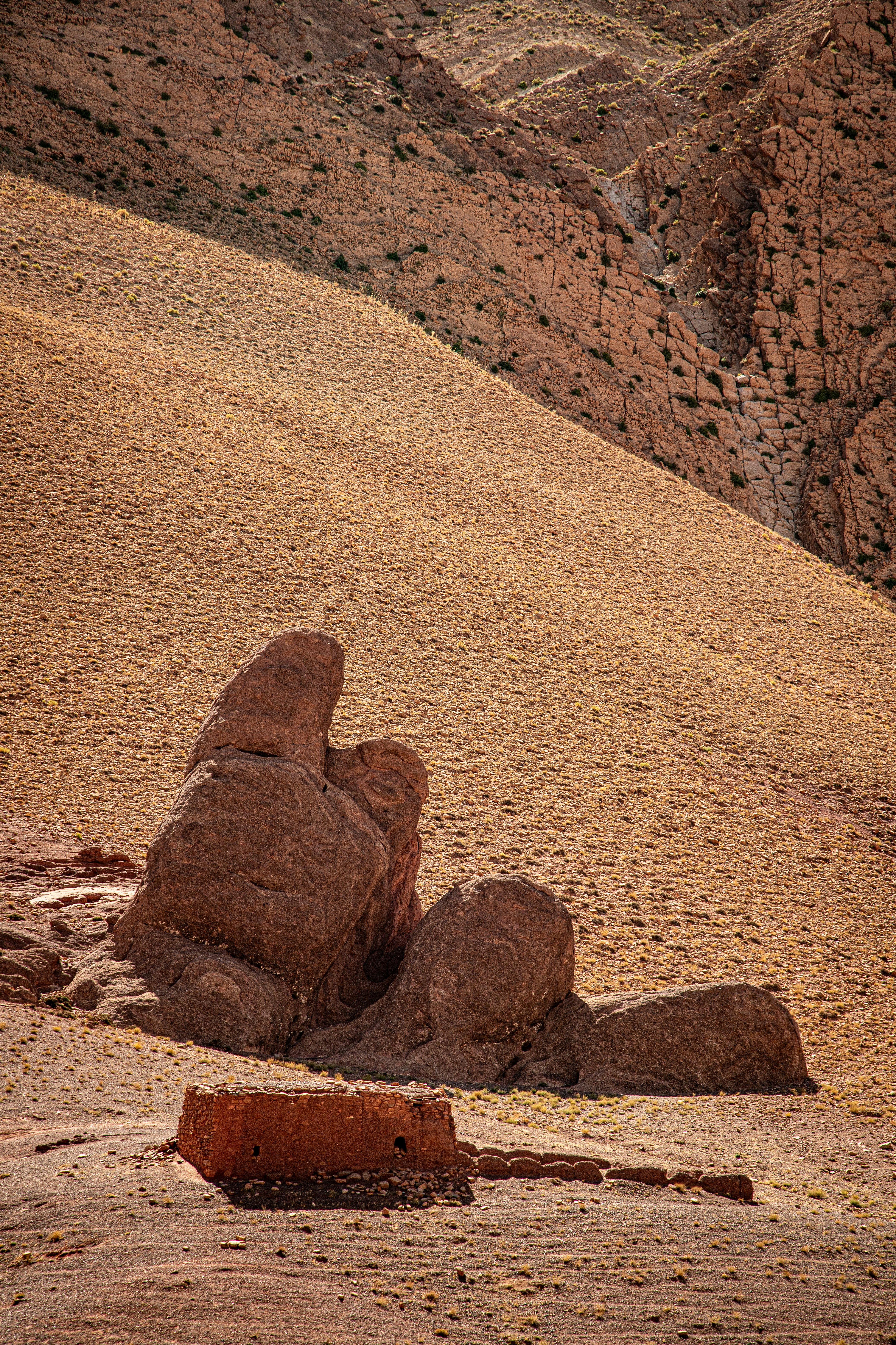 Photo by Bernd 📷 Dittrich with Canon EOS 6D Mark II