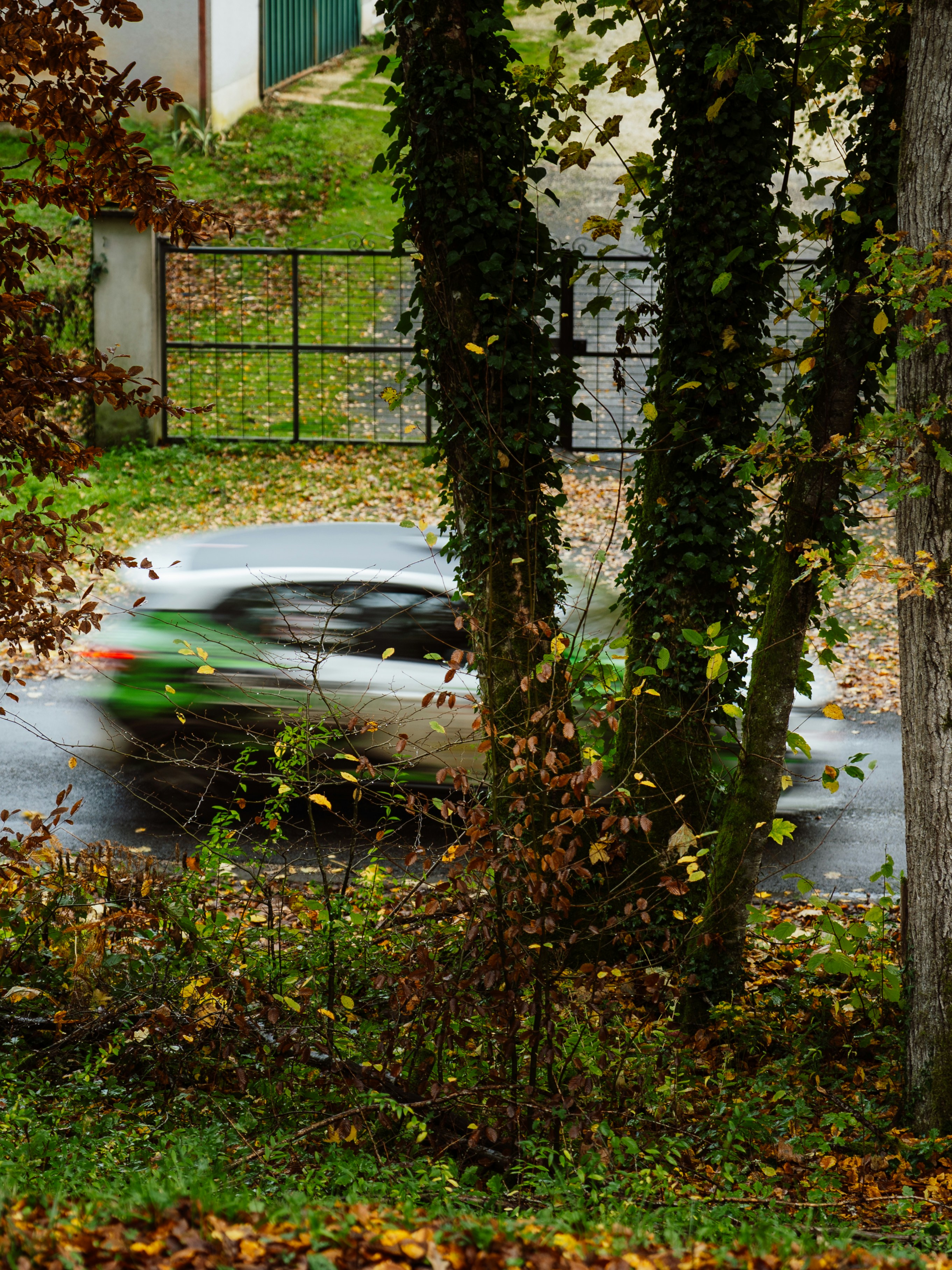 Ivy-Framed Motion: A Silver Sedan Blurs Through Autumn Street