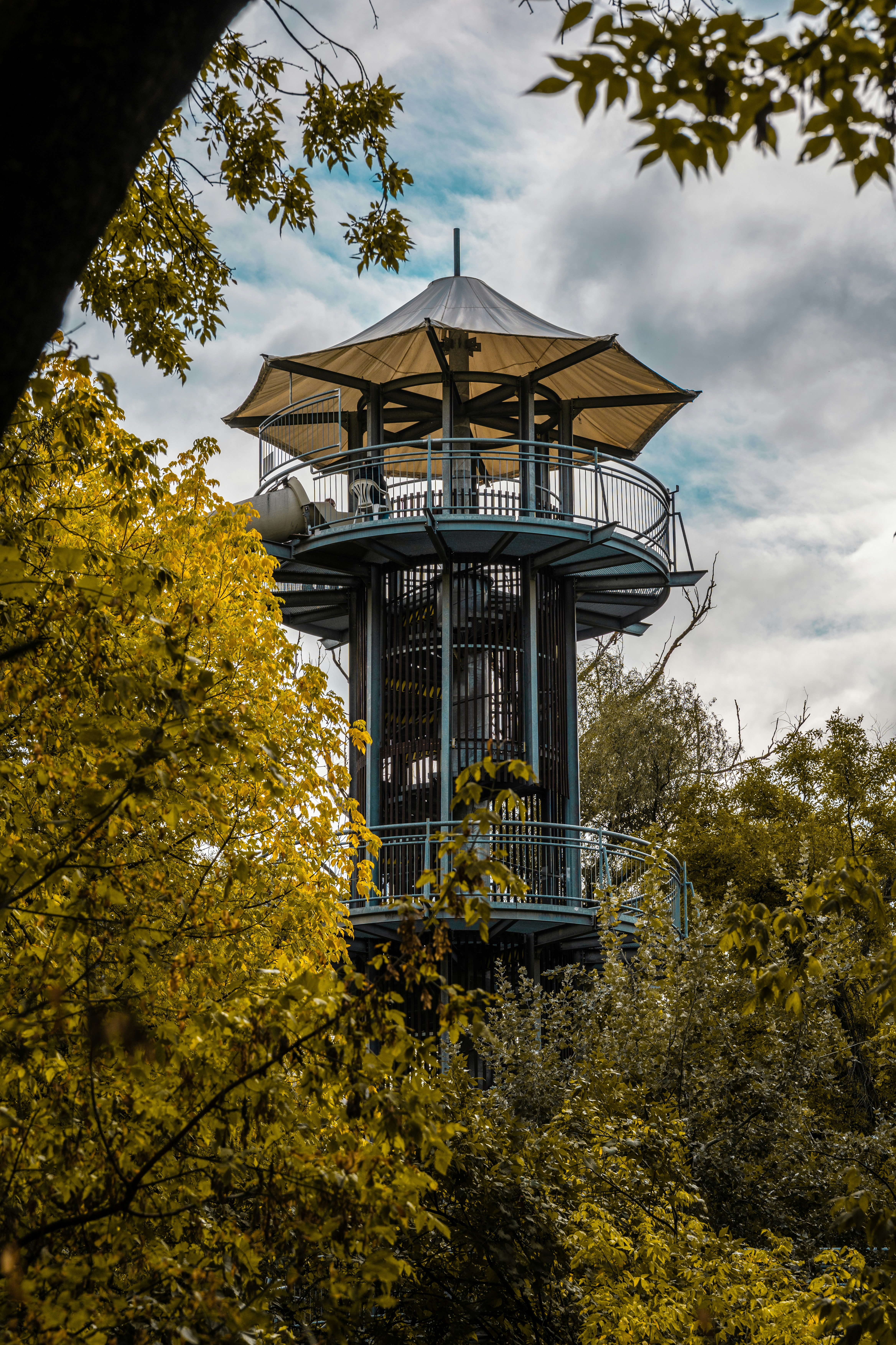 Elevated Serenity: The Tower Amidst Autumn Foliage