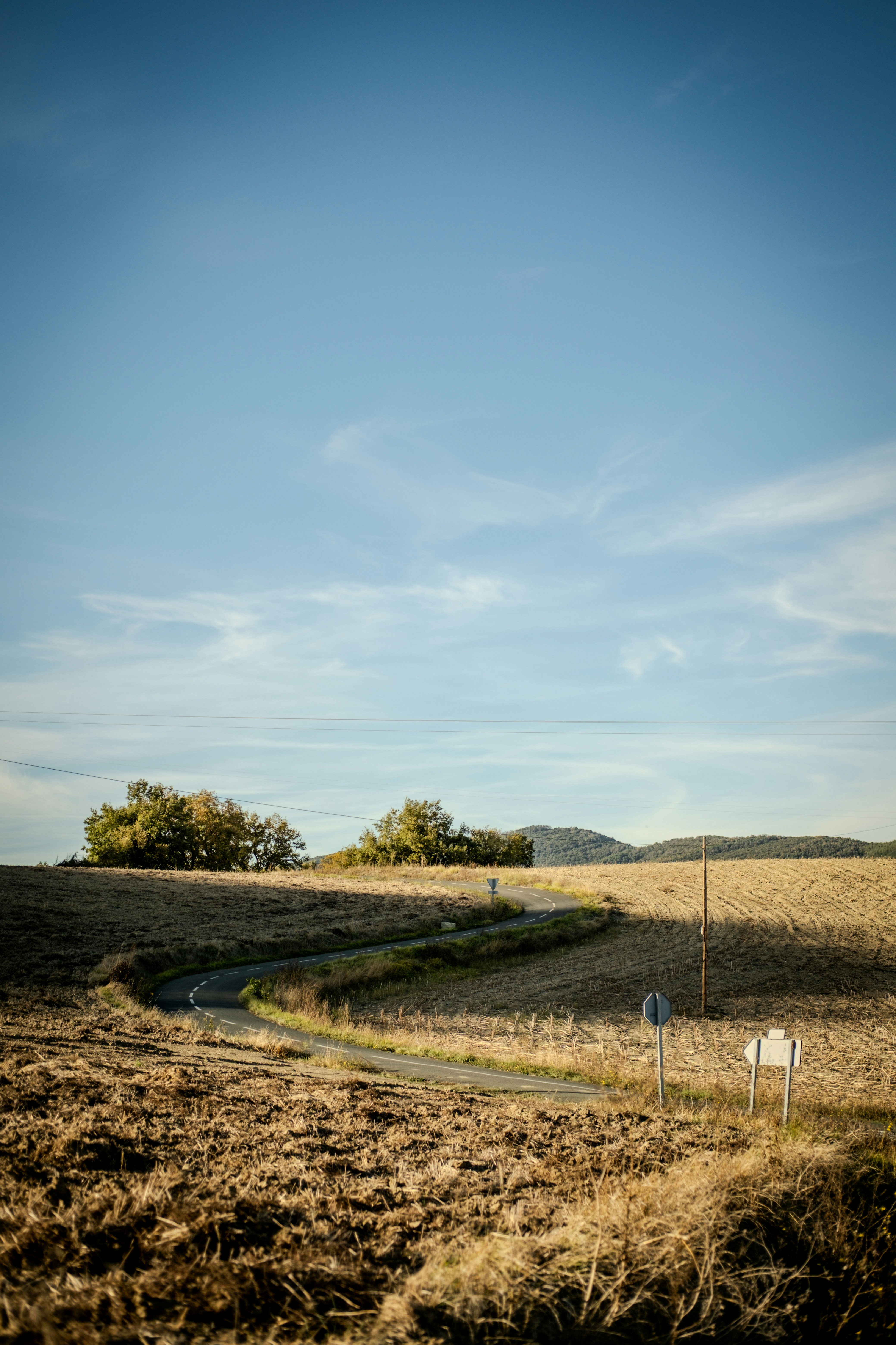 Winding Path Through Golden Fields