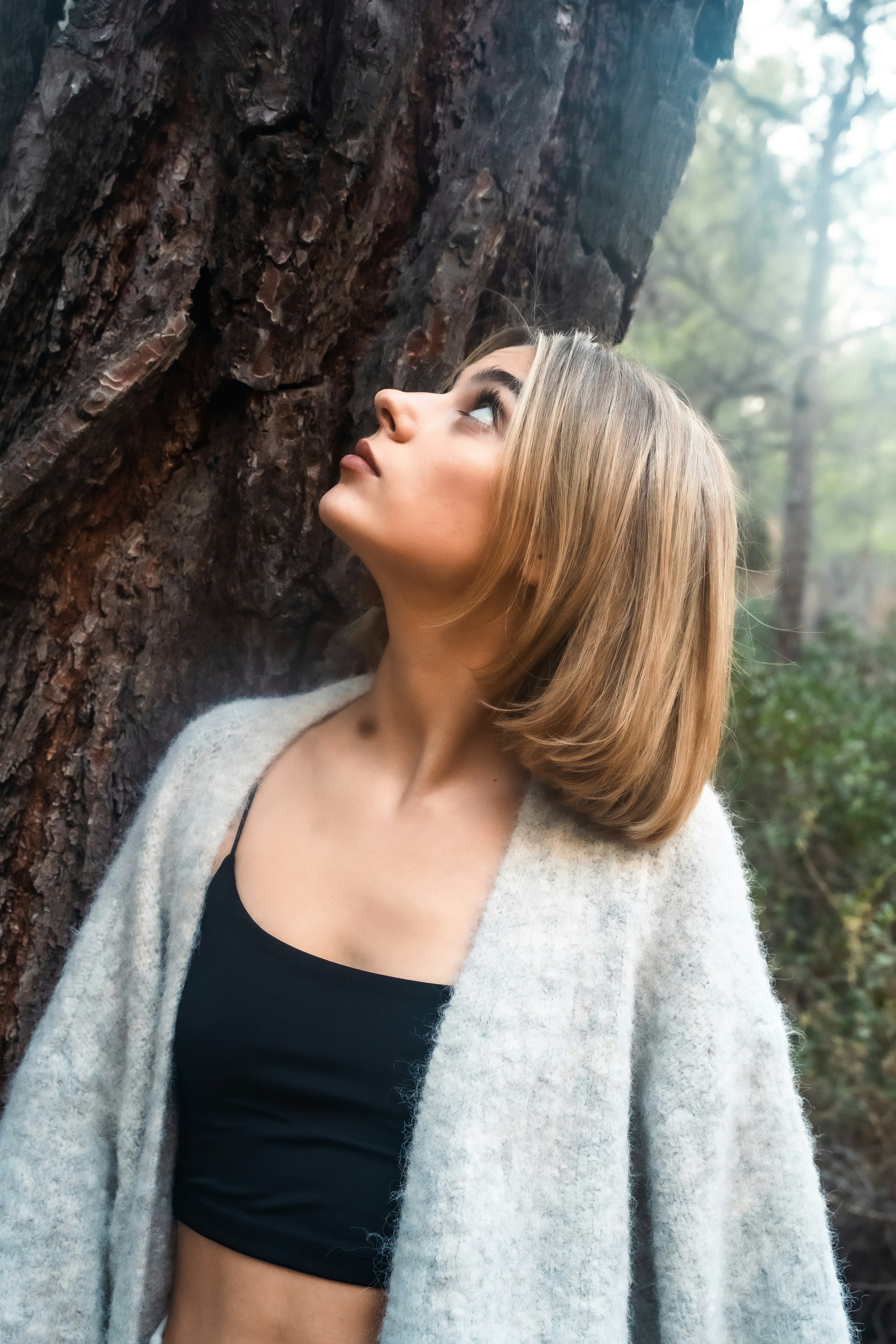 Whispers of the Forest: A Moment of Reflection