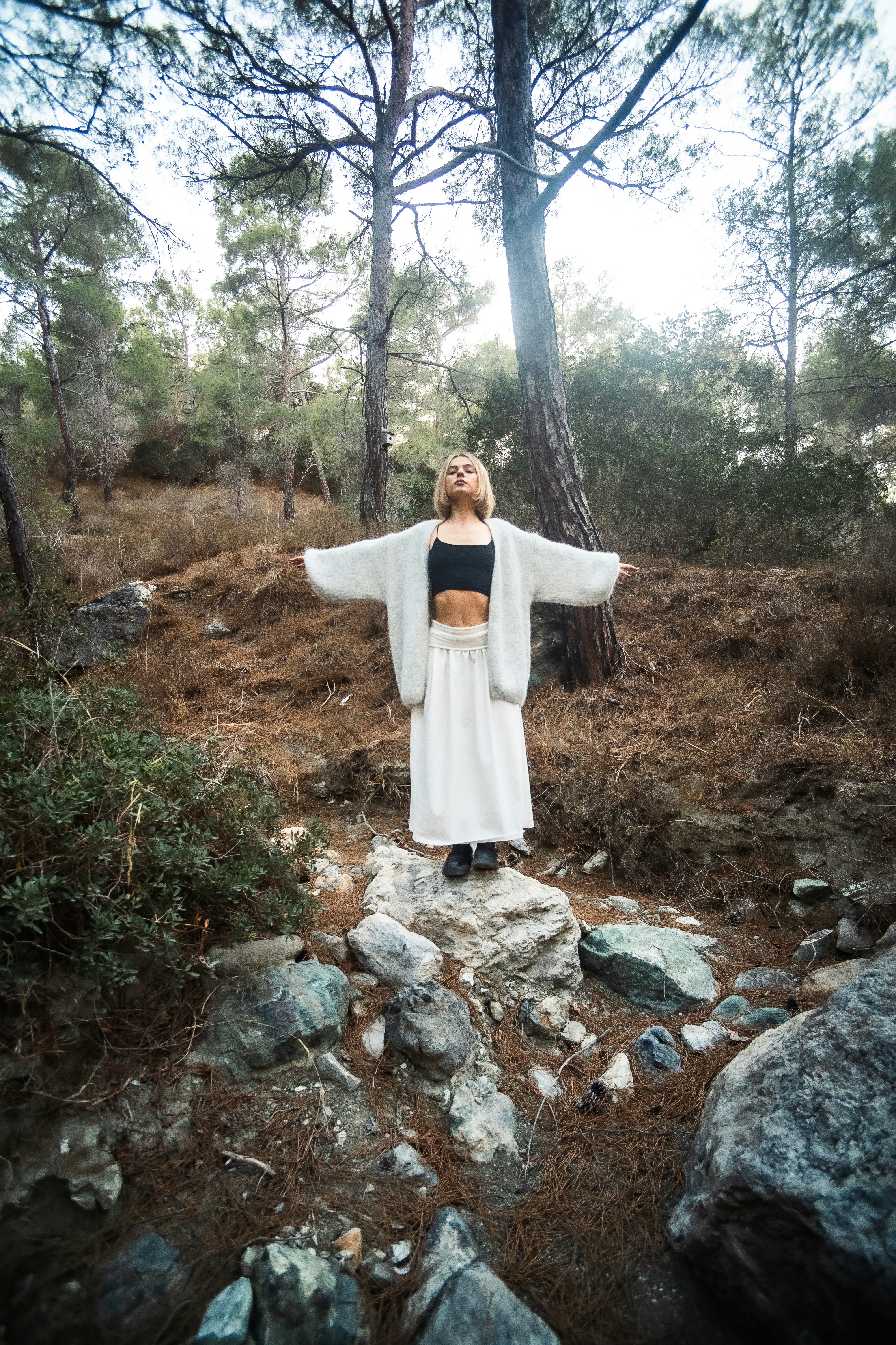Open-Arm Reverie in a Pine Forest