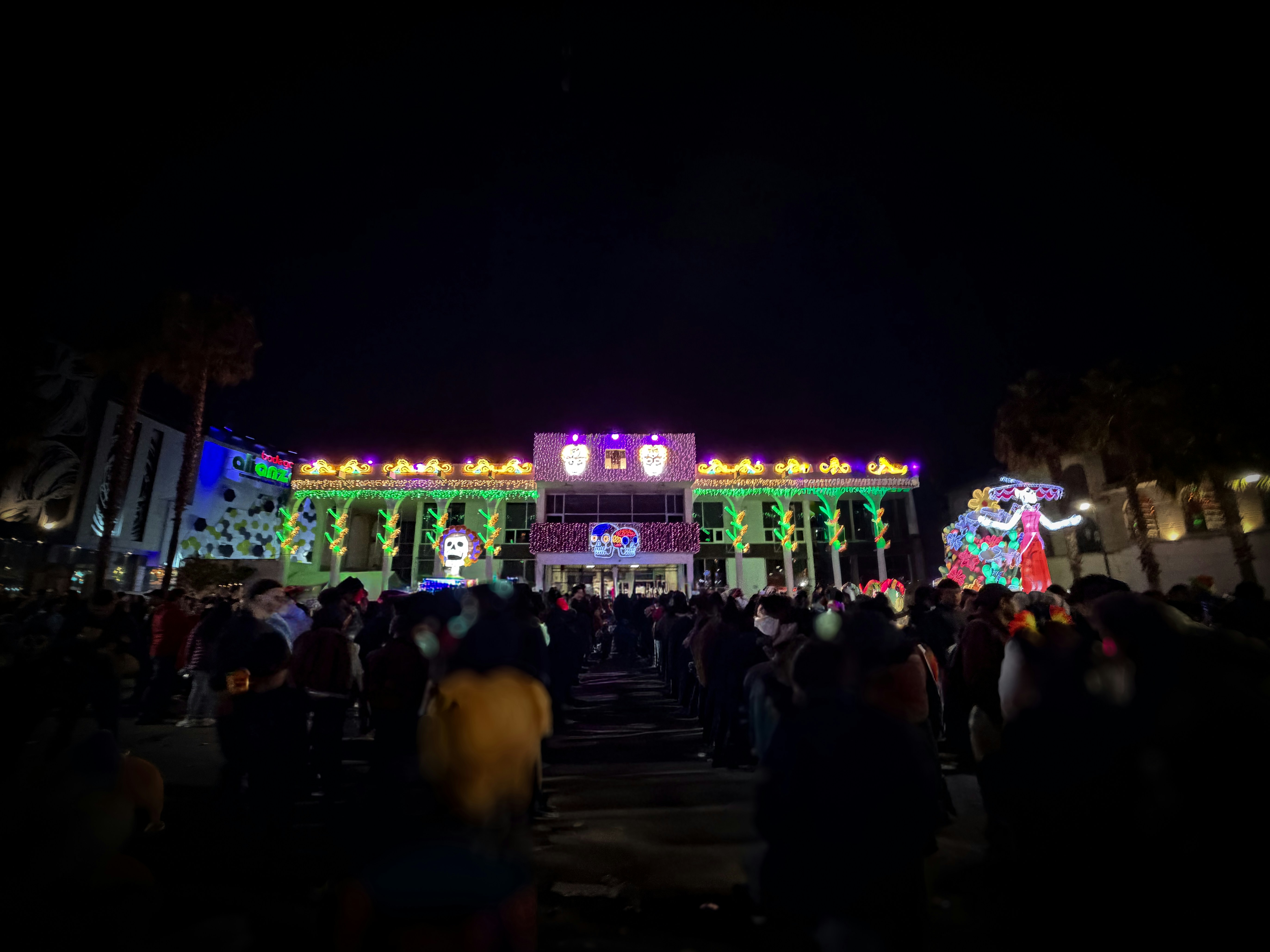 Illuminated Celebration: A Night of Color and Joy
