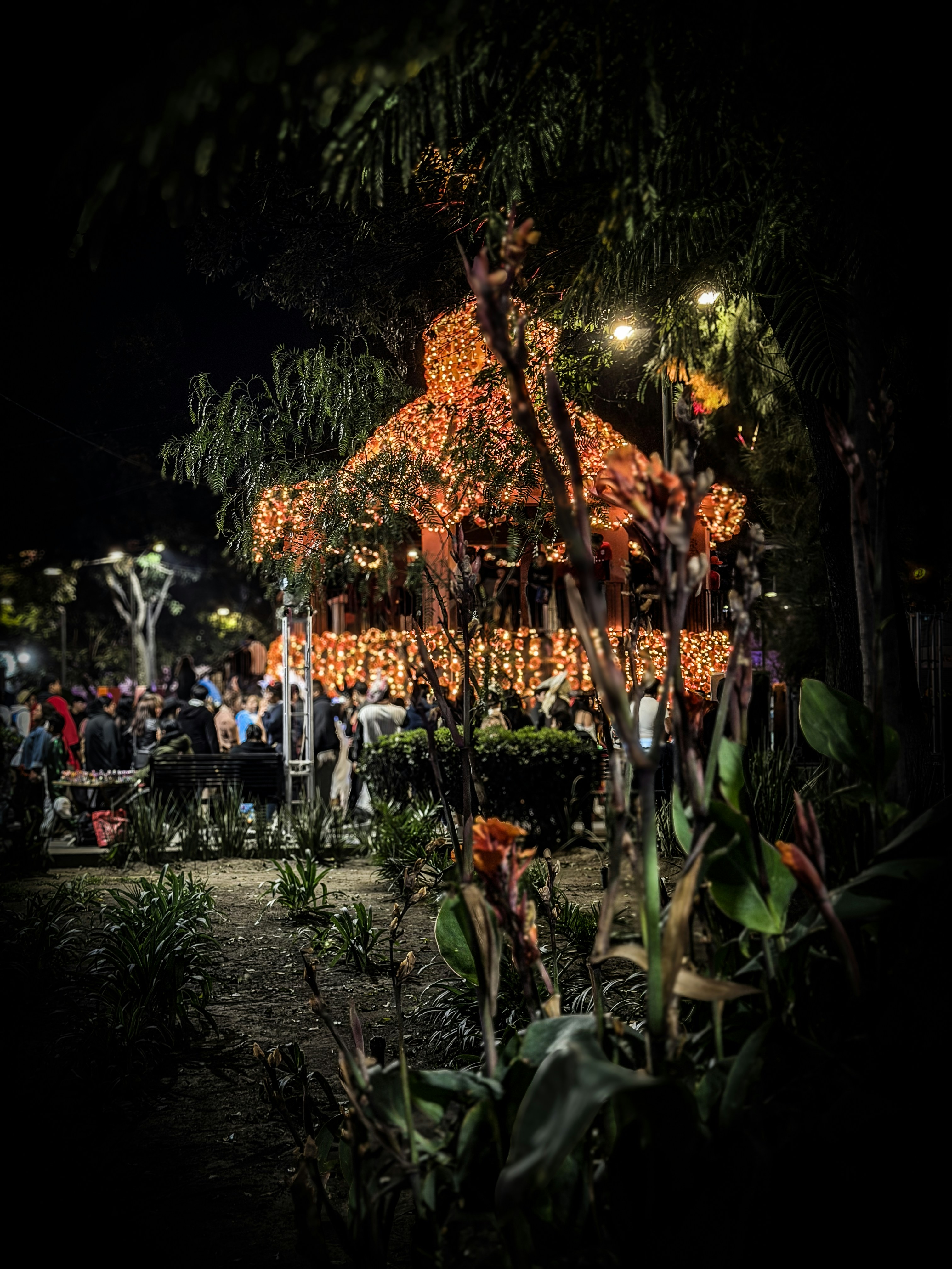 Twinkling Haven Amidst Night's Embrace