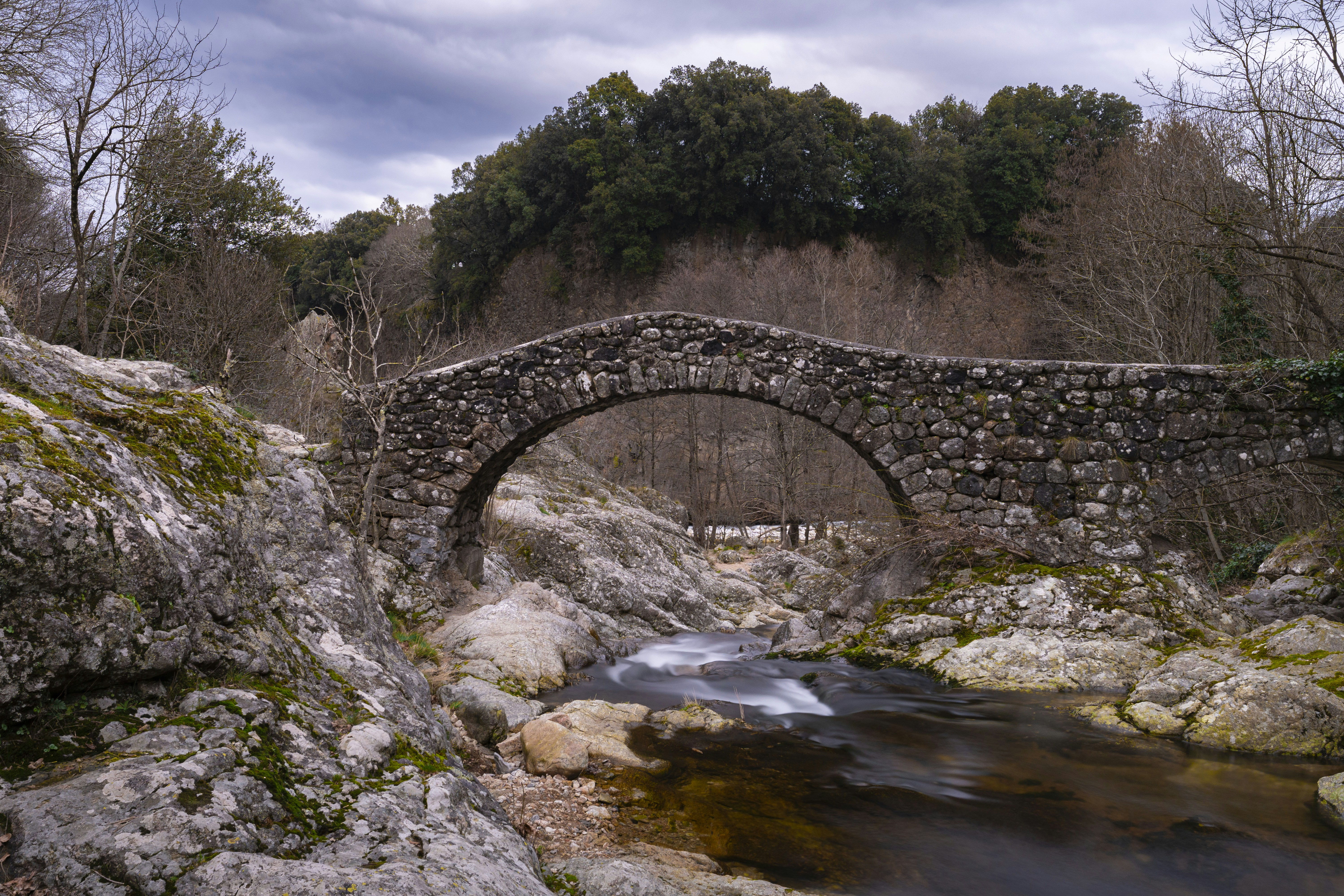 Photo by le Sixième Rêve with Sony Alpha 7 IV