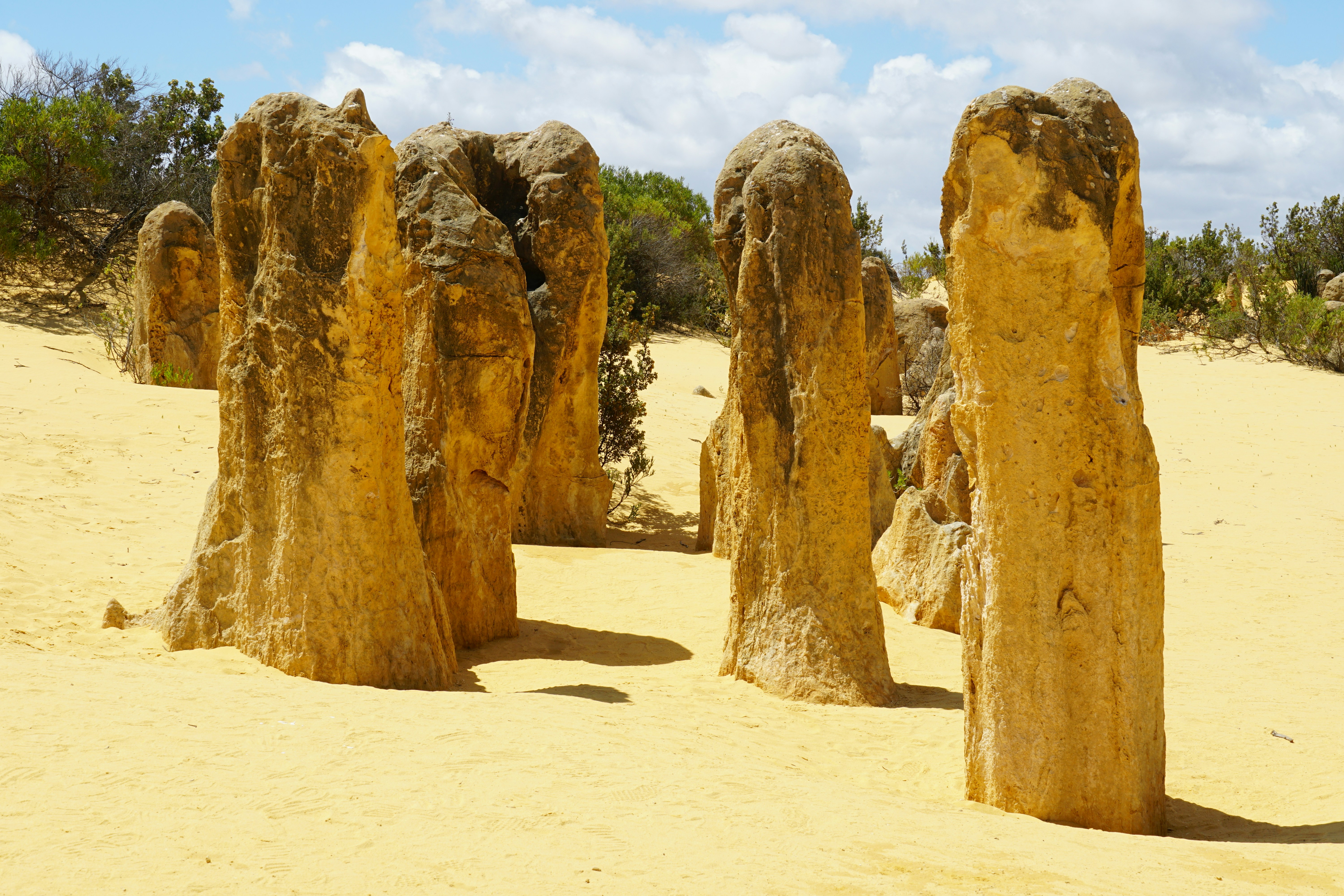 Whispers of Ancient Giants in the Desert