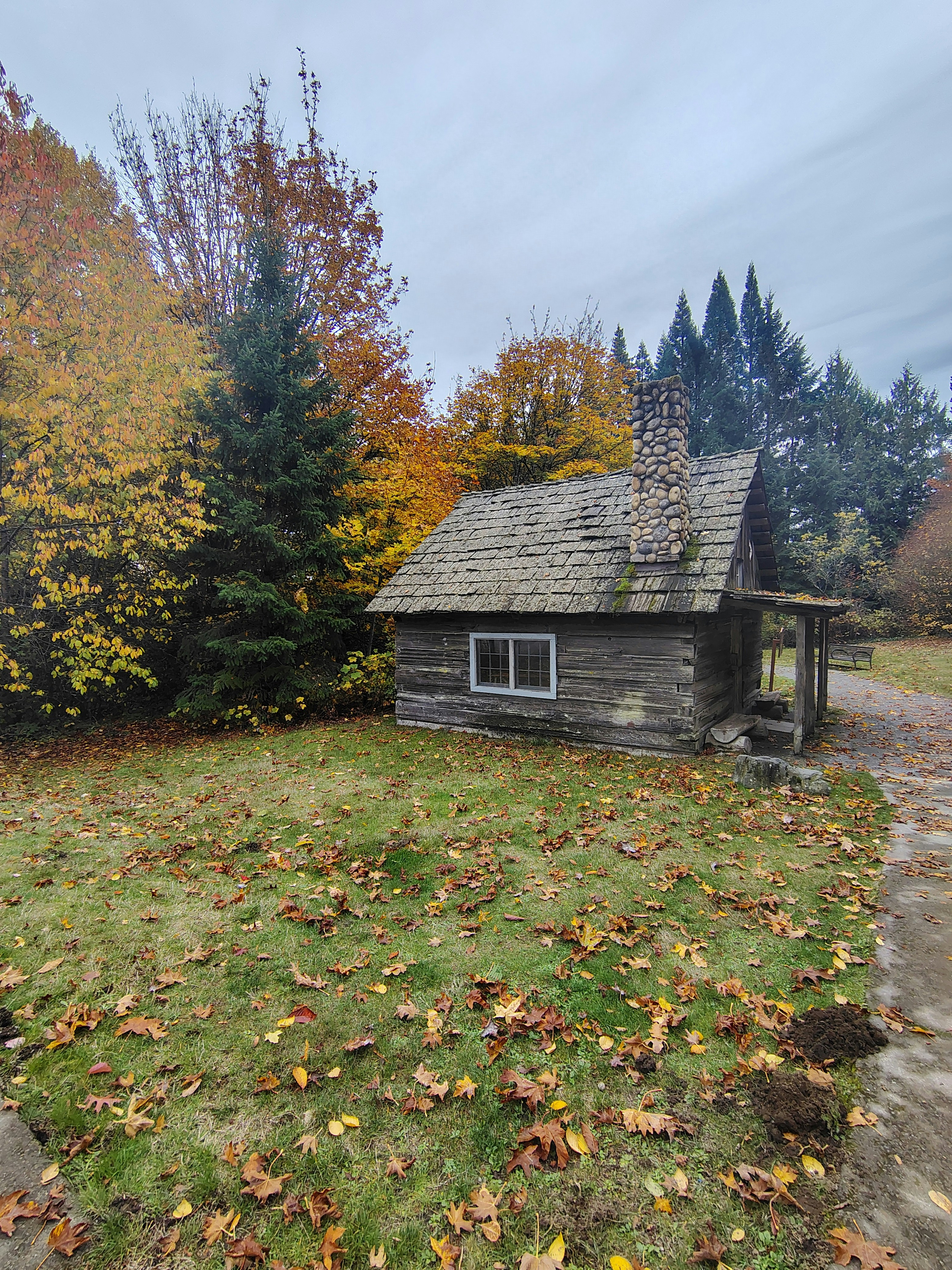 Rustic log cabin surrounded by autumn trees and fallen leaves.