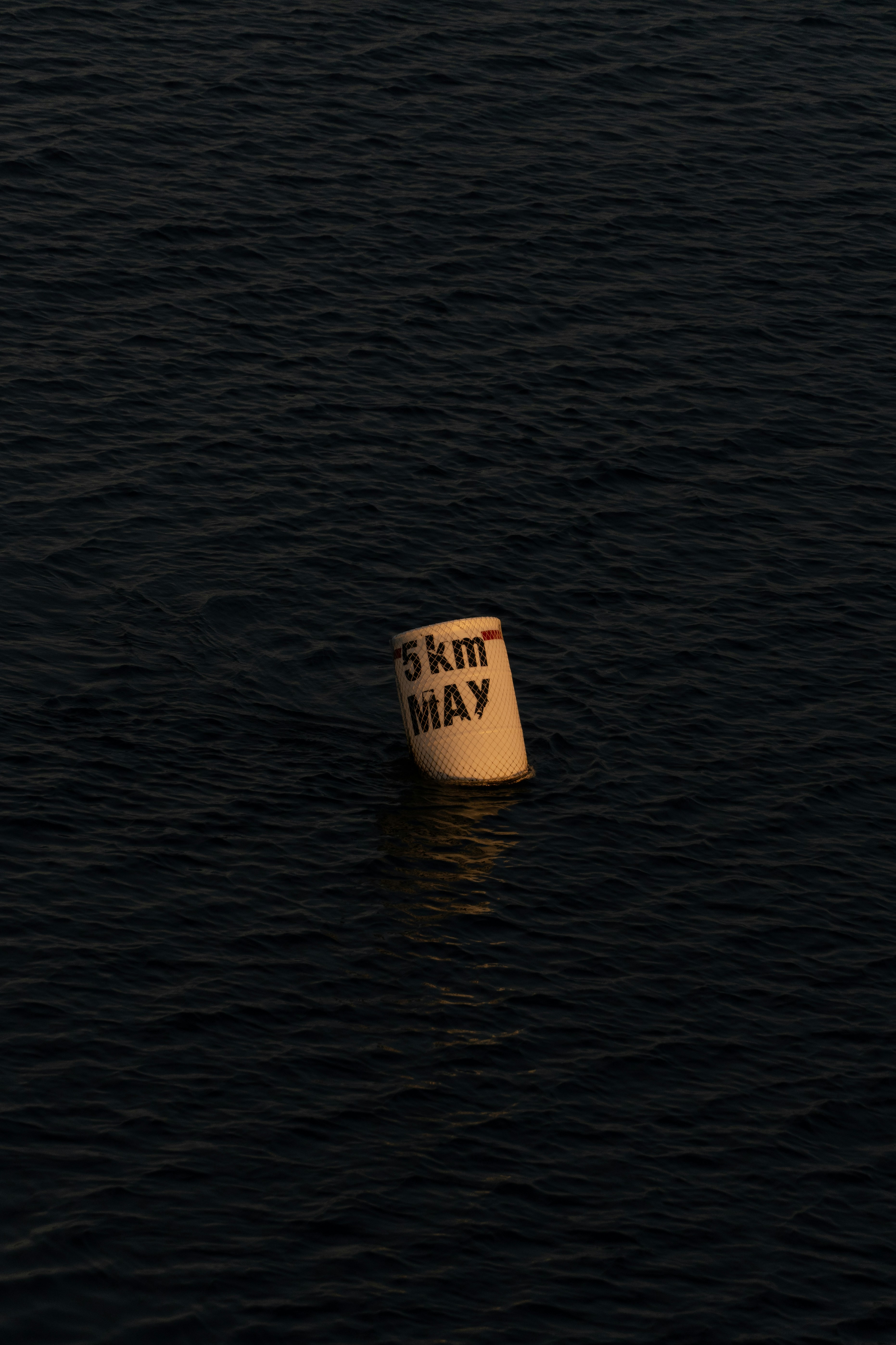 Lone Buoy in a Velvet Sea at Dusk