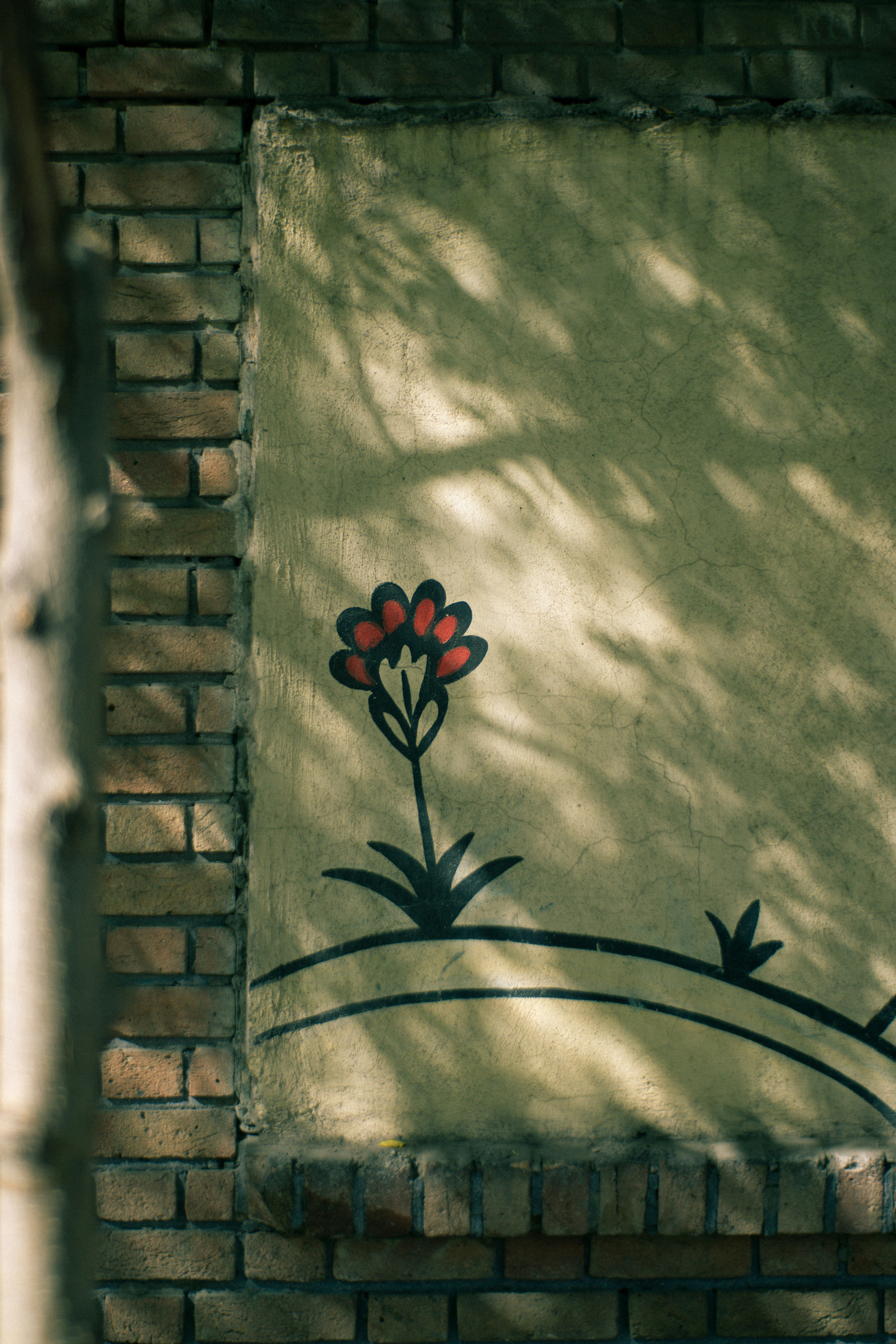 A vibrant flower mural painted on a textured wall, framed by the soft shadows of surrounding foliage.