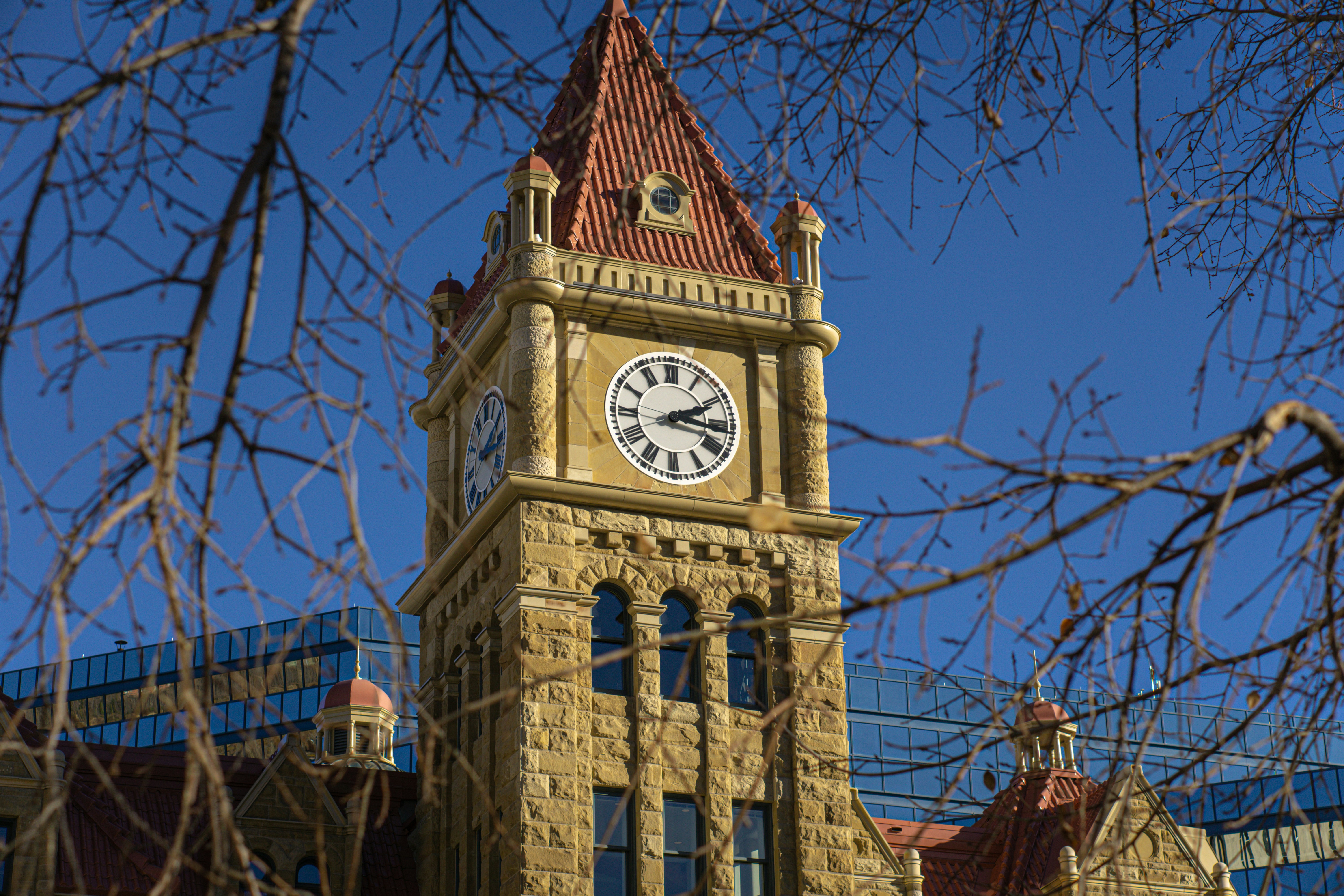 Historic clock tower with intricate brickwork and a red-tiled roof, framed by bare branches against a bright blue sky.