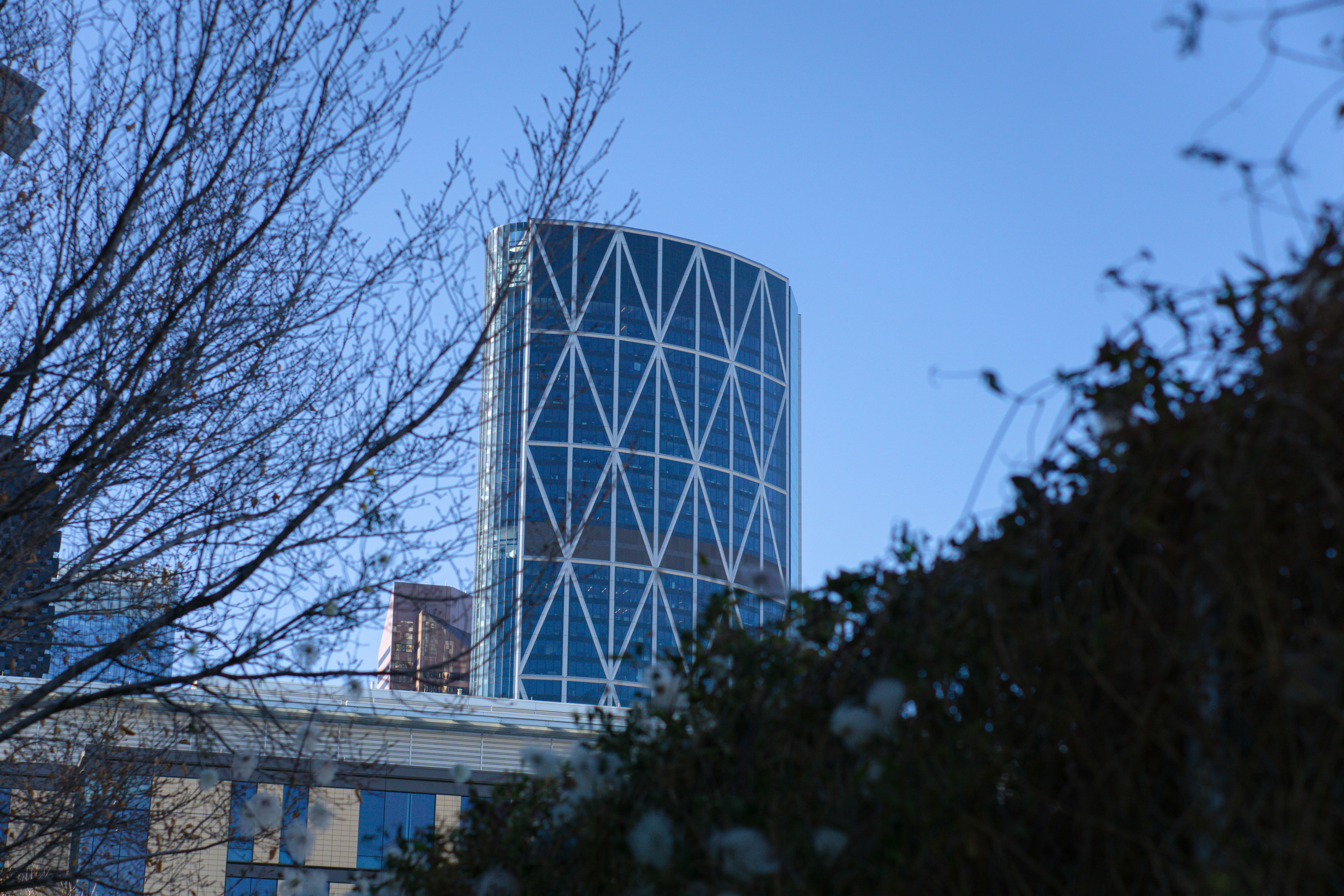 Urban Geometry: A Modern Marvel Amidst Nature