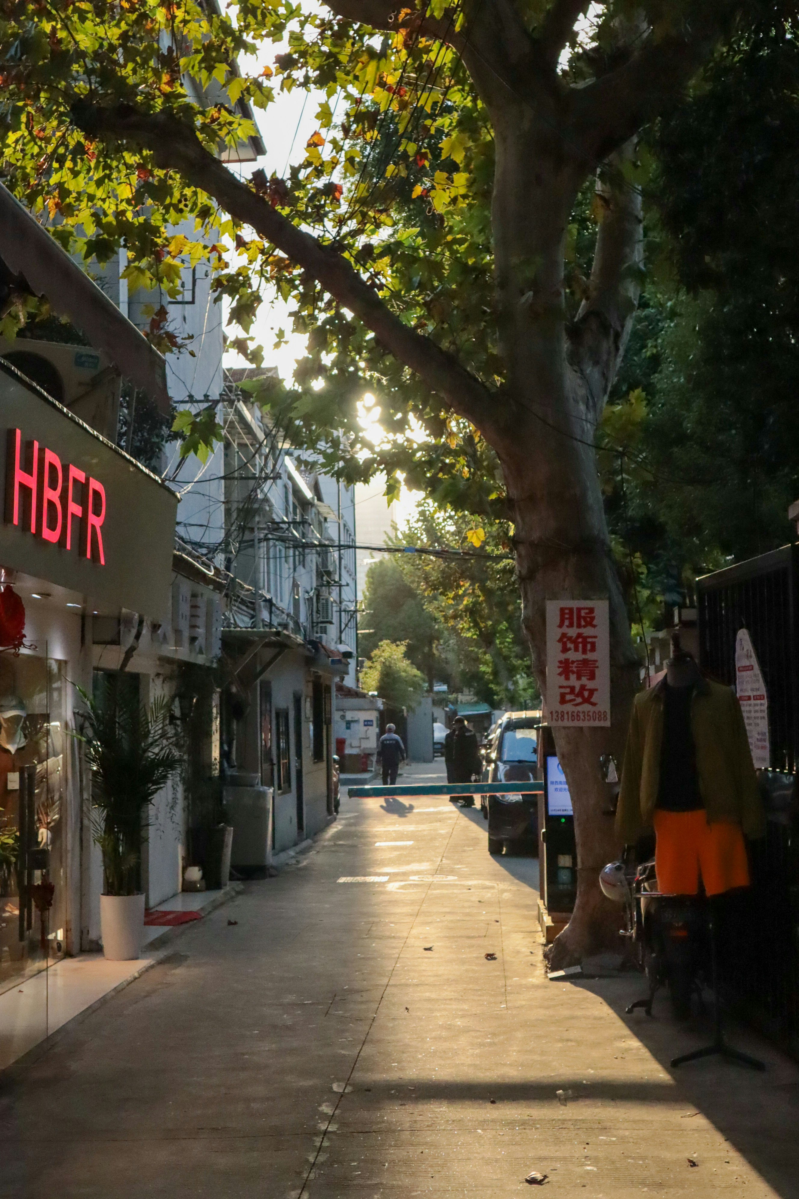 Dappled Morning Light on a Tree-Framed Street with Neon Signage and a Distant Pedestrian