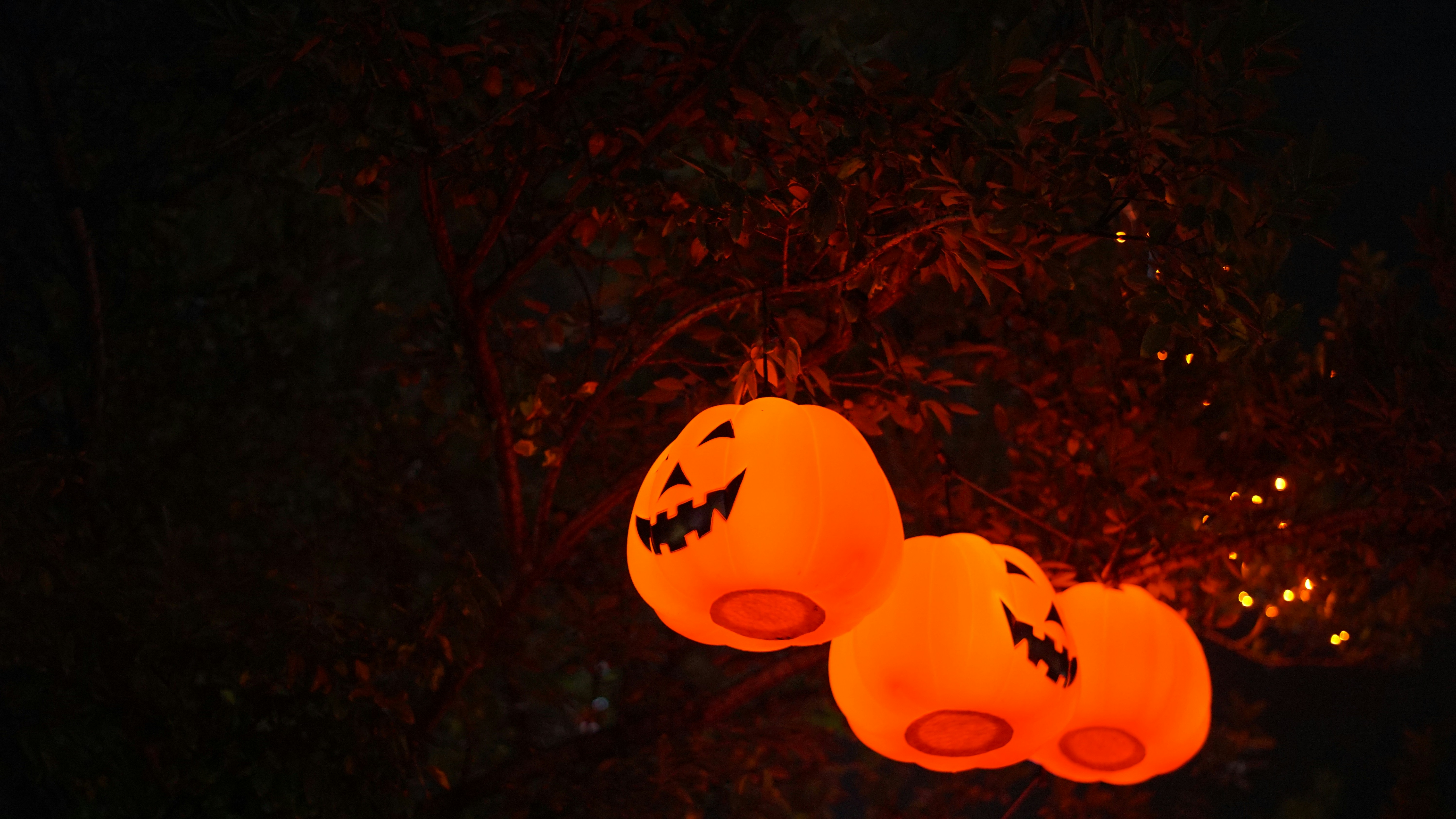 Three illuminated jack-o'-lanterns hanging from a tree branch, casting a warm orange glow against a dark background.