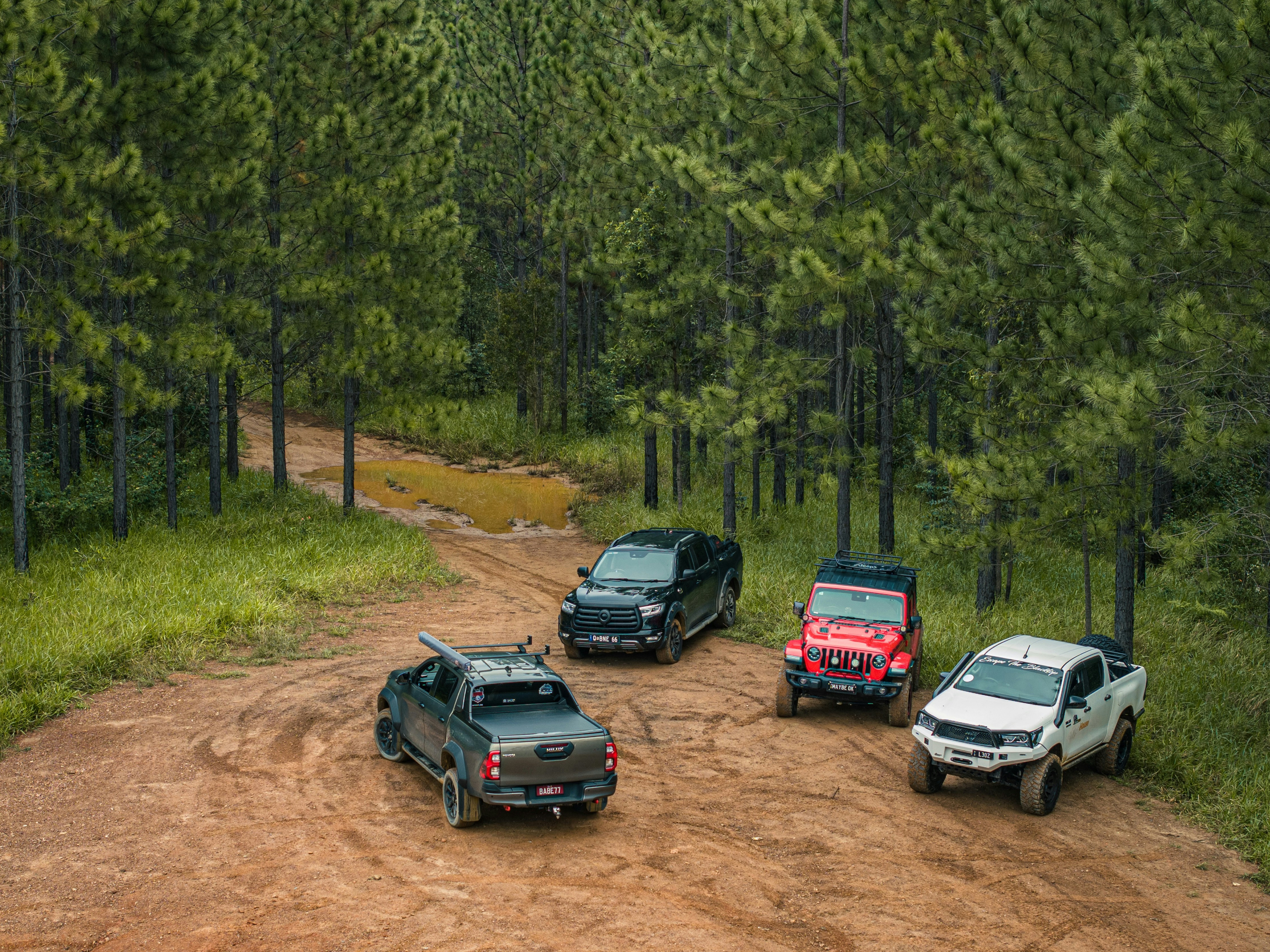 Four off-road vehicles gather at a crossroads in a dense pine forest, showcasing their rugged designs against a natural backdrop.