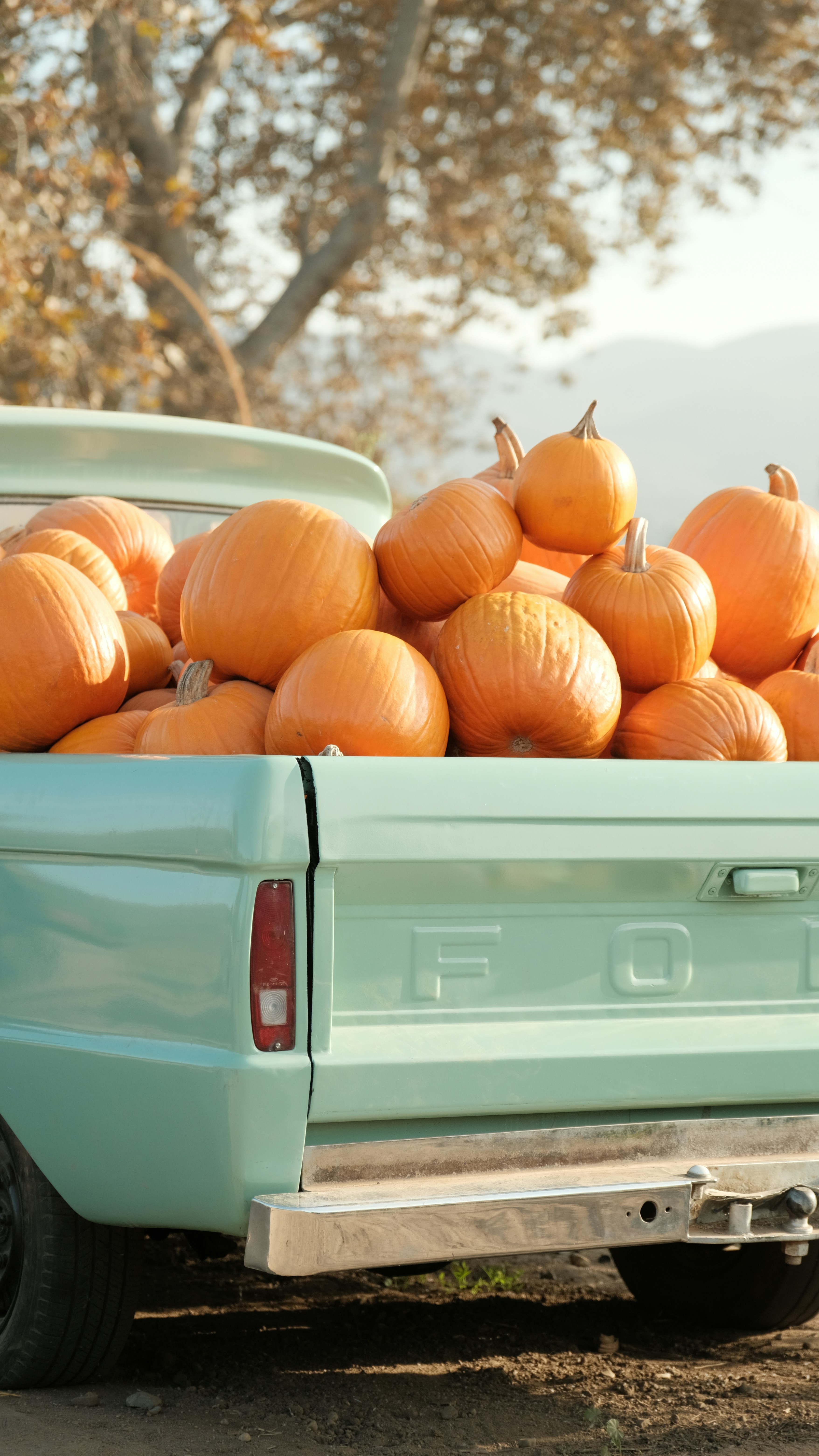 Pastel Pickup Brimming with Autumn's Pumpkin Parade