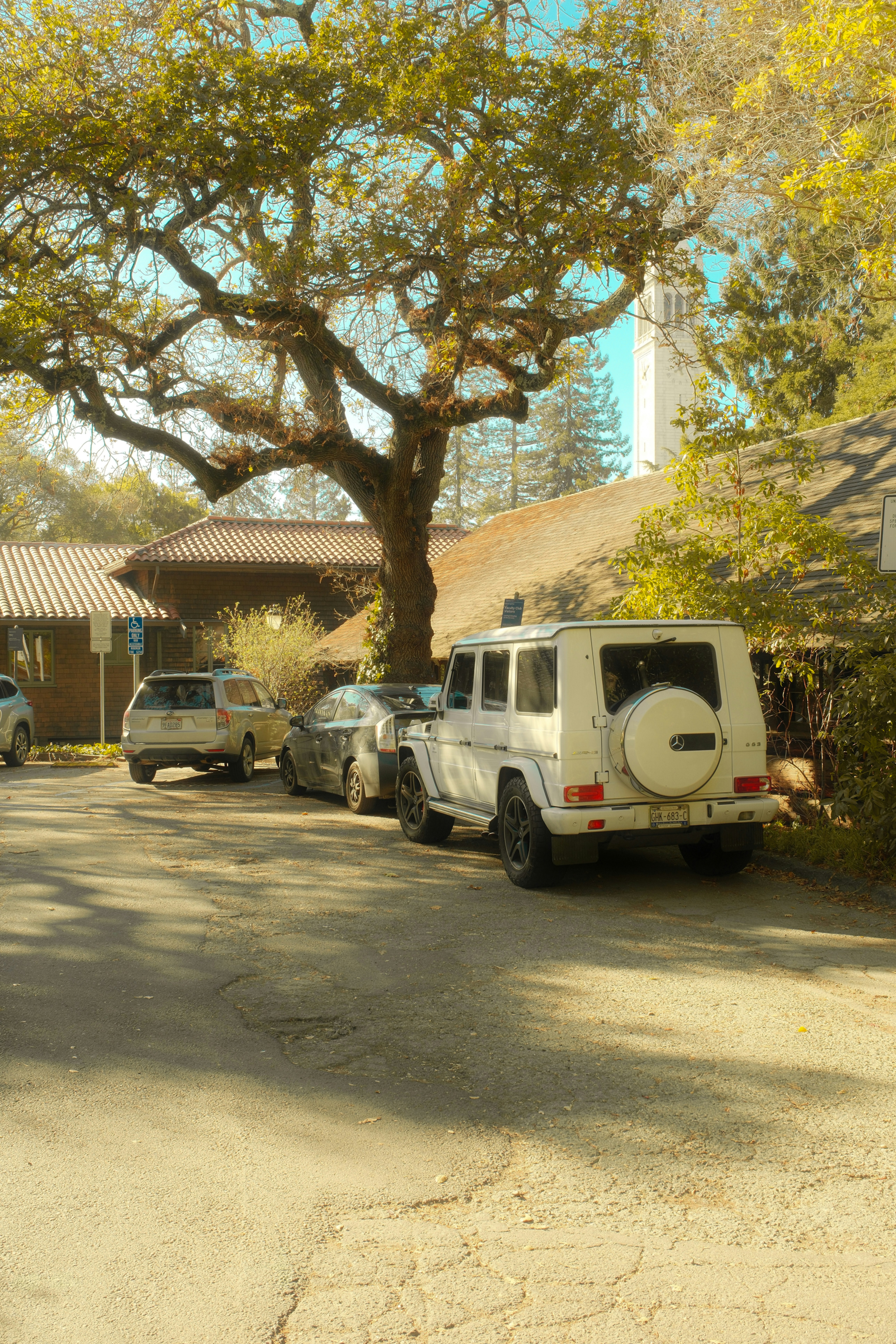 White suv parked near a large oak tree.