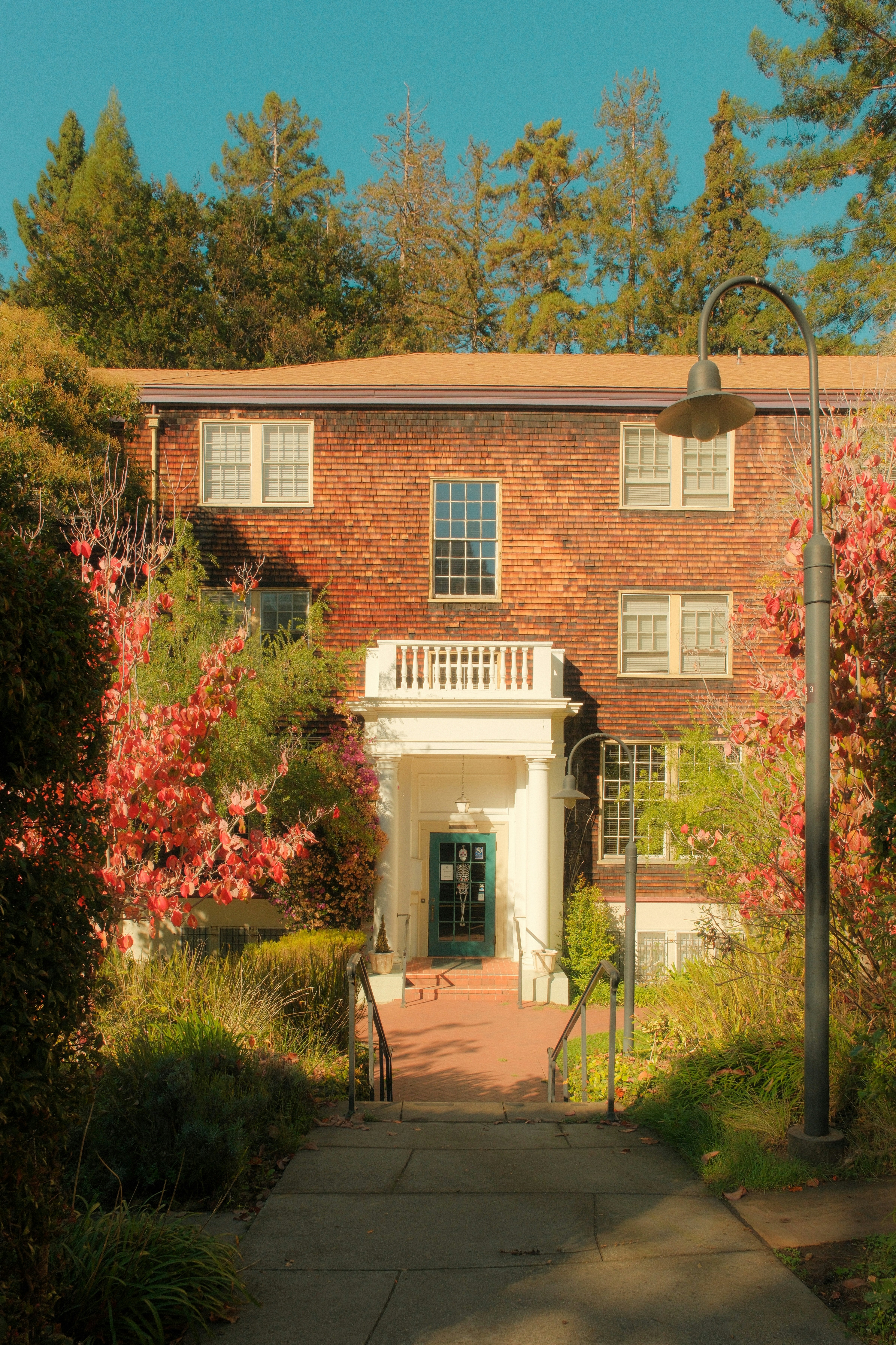 Brick building entrance surrounded by blooming trees