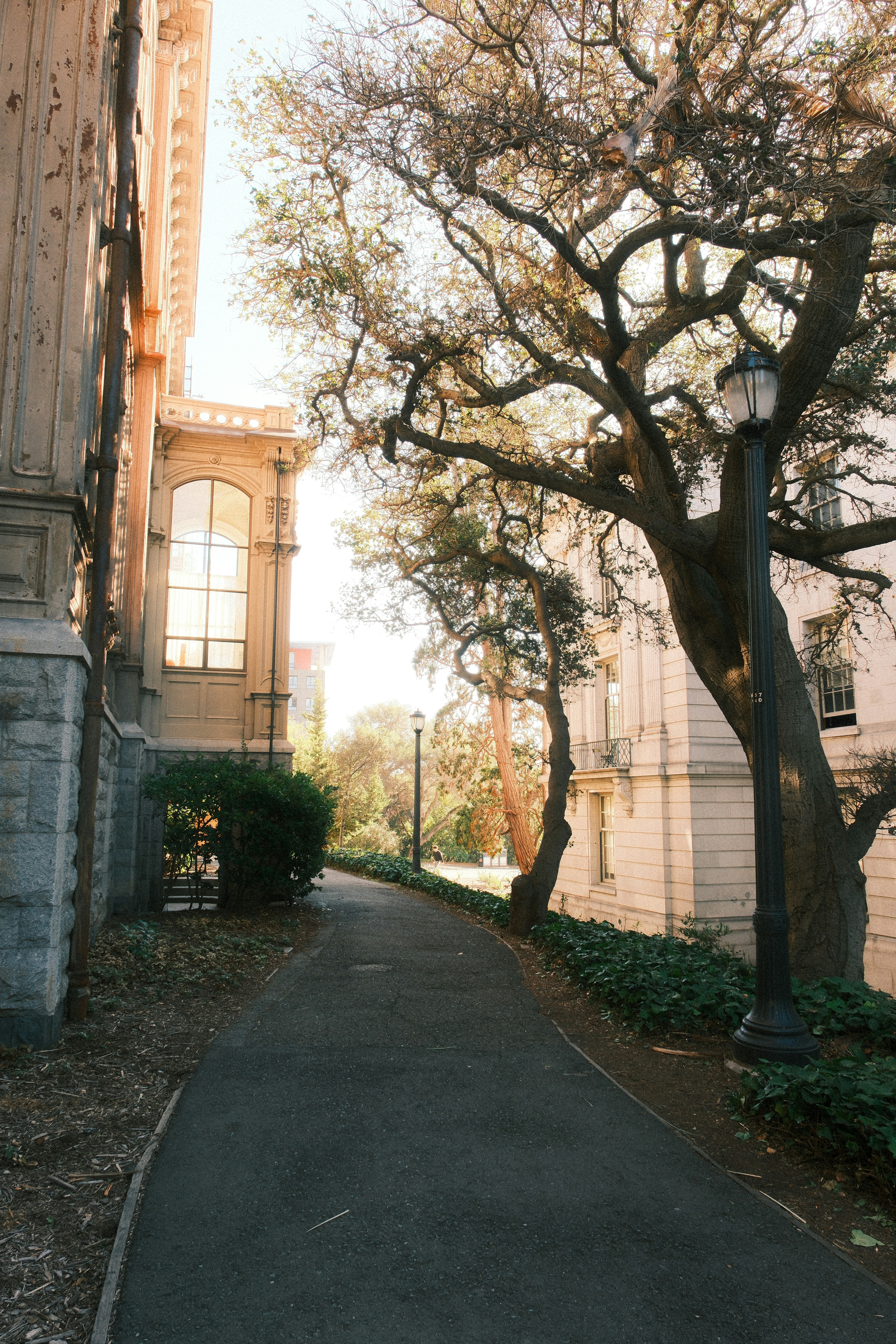 Curved pathway lined with trees and historic buildings, inviting exploration in a tranquil setting.