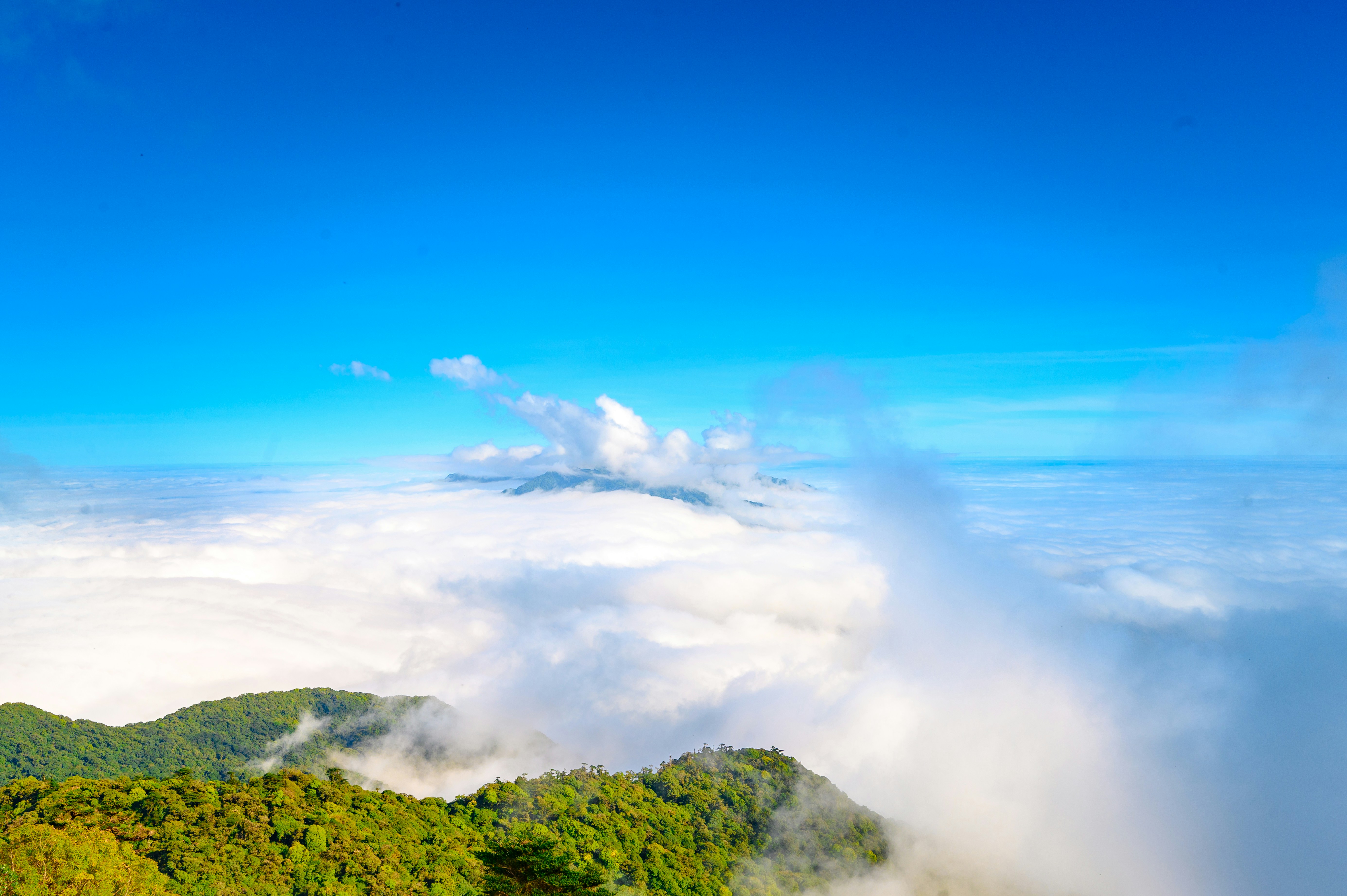Vast expanse of clouds enveloping lush green hills under a clear blue sky. The scene captures the serene beauty of nature from a high vantage point.