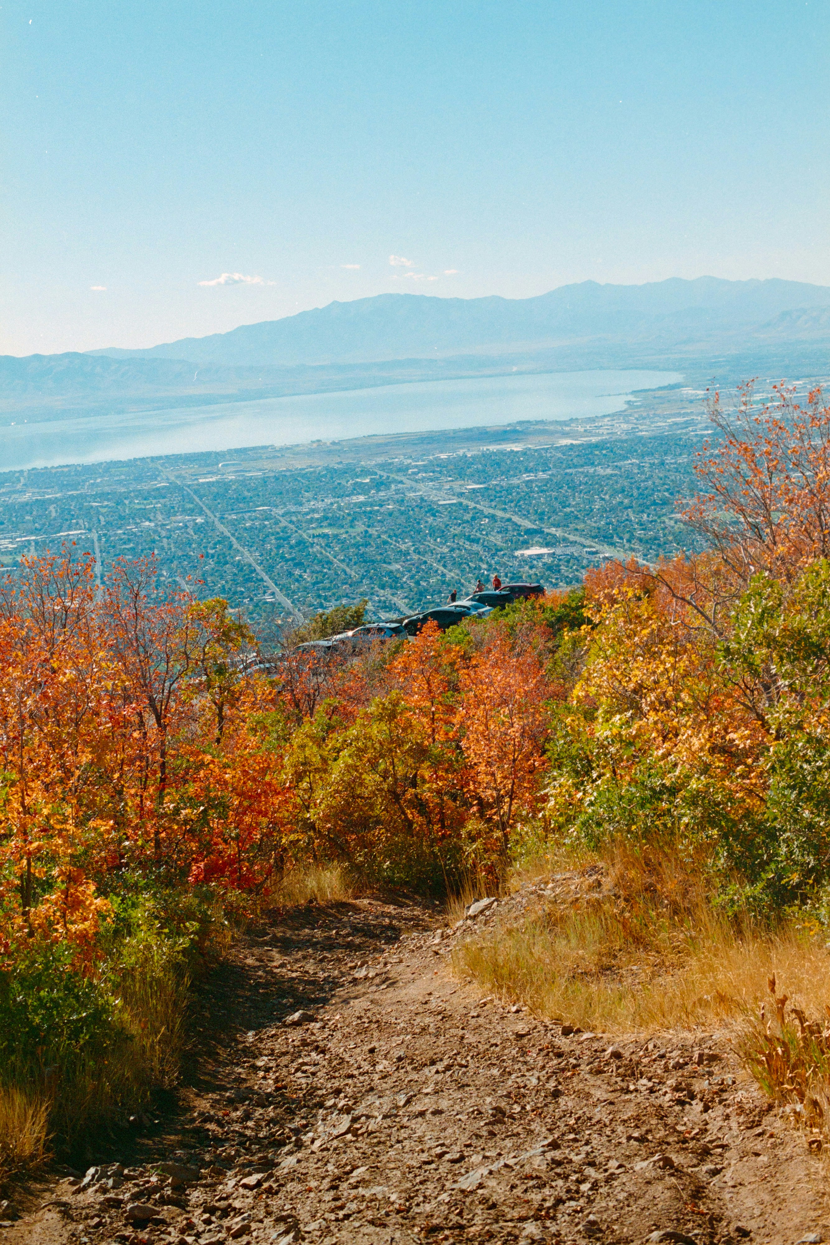 Autumn trees overlook a city and distant lake. photo – Free Mountains ...