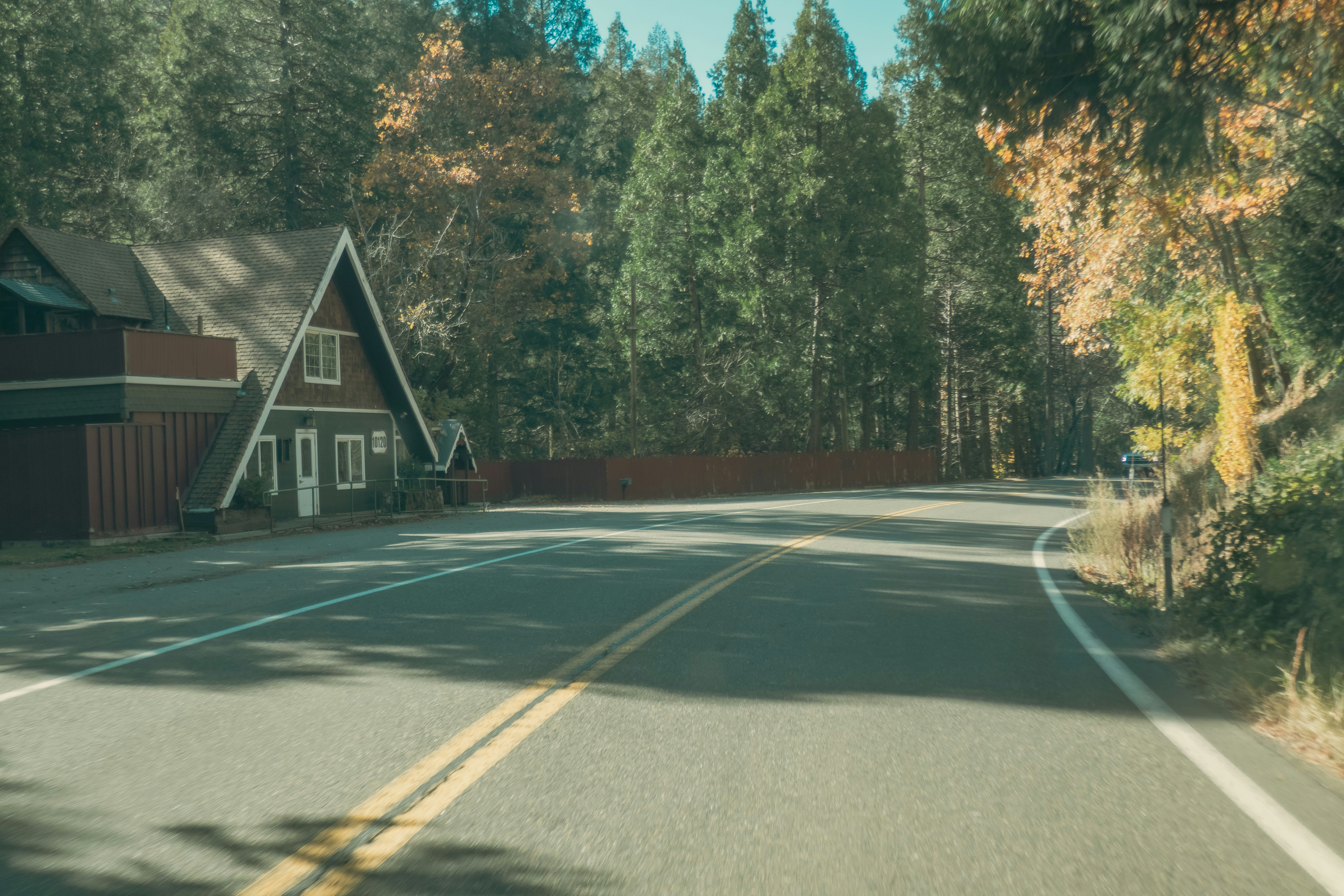 Road leading to houses in a forest.