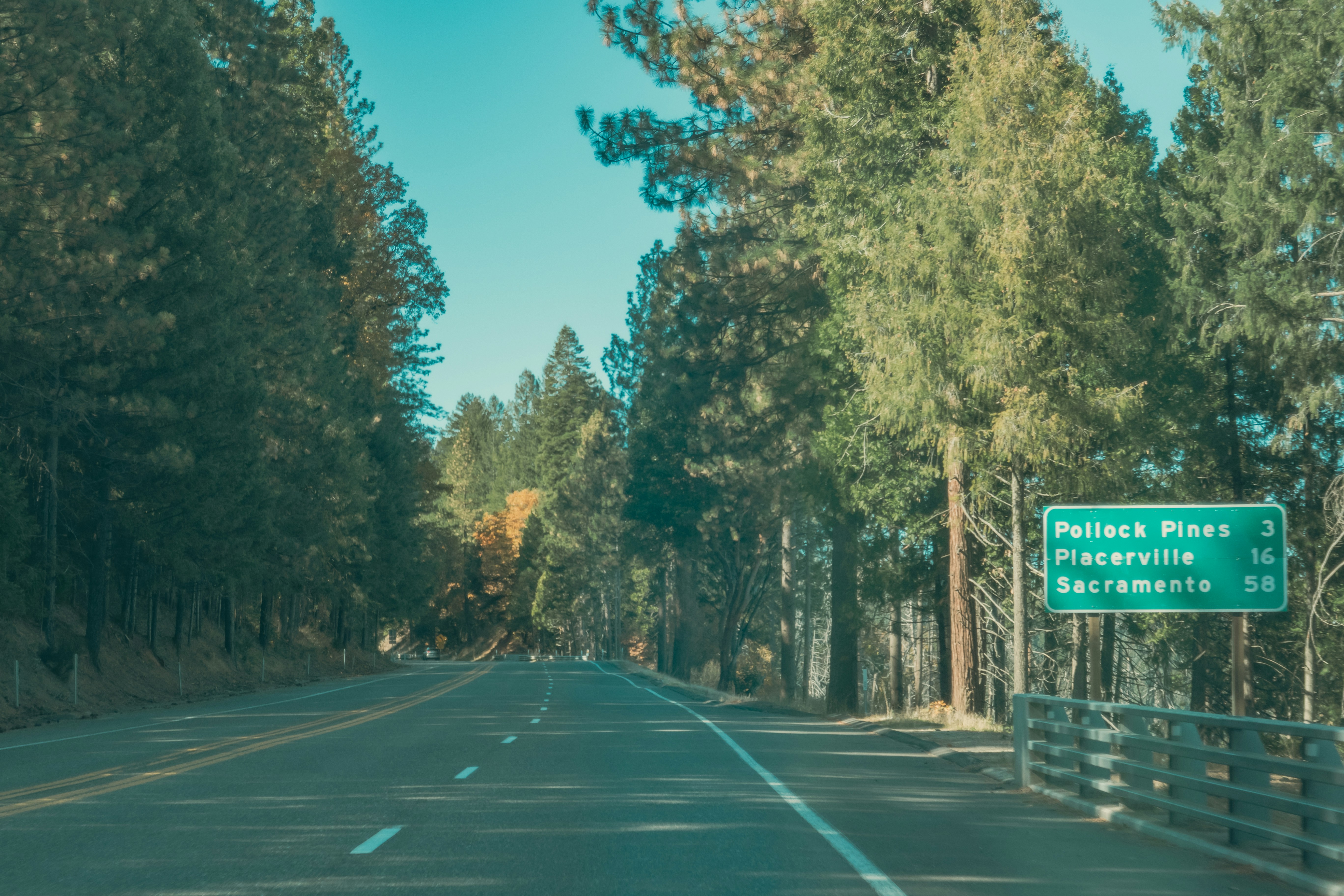 Road through a forest with directional signs.