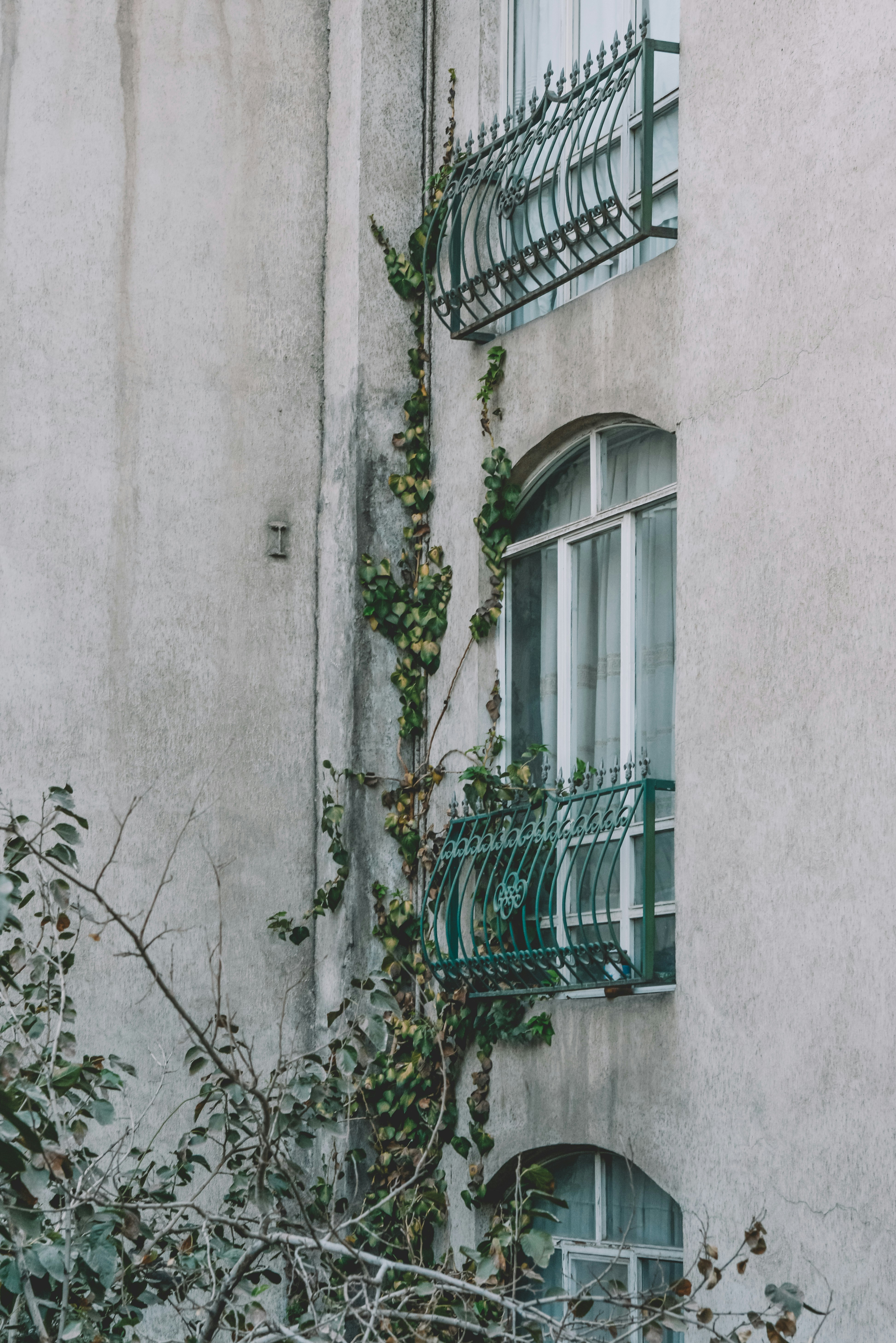 Ivy climbing up a textured concrete wall beside green wrought iron balconies, showcasing the blend of nature and architecture.